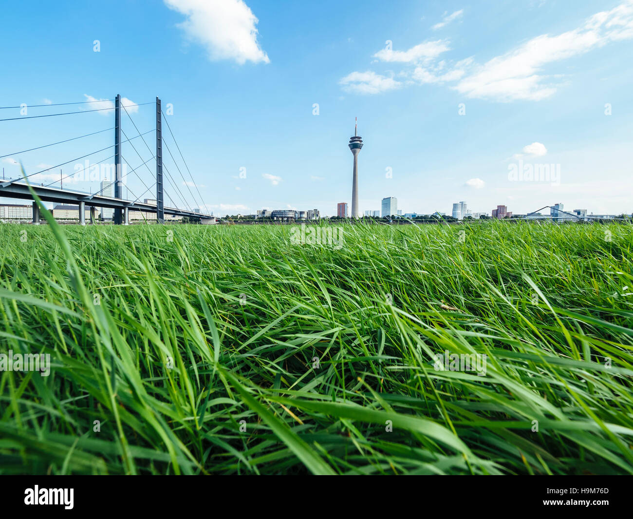 Rhine tower and rheinknie bridge hi-res stock photography and images ...