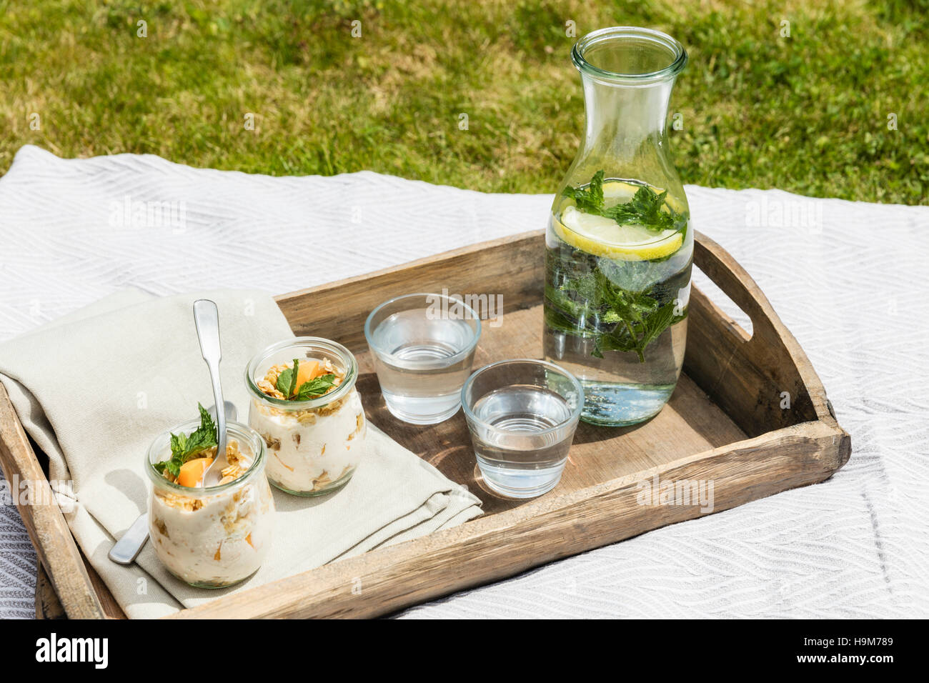 Tray with curd desserts and flavored mint water on picnic blanket Stock ...
