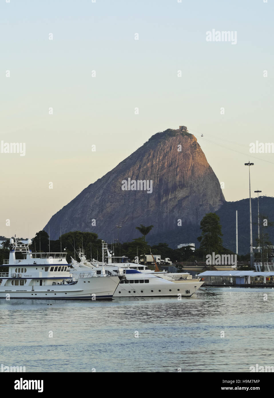 Gloria marina hi-res stock photography and images - Alamy