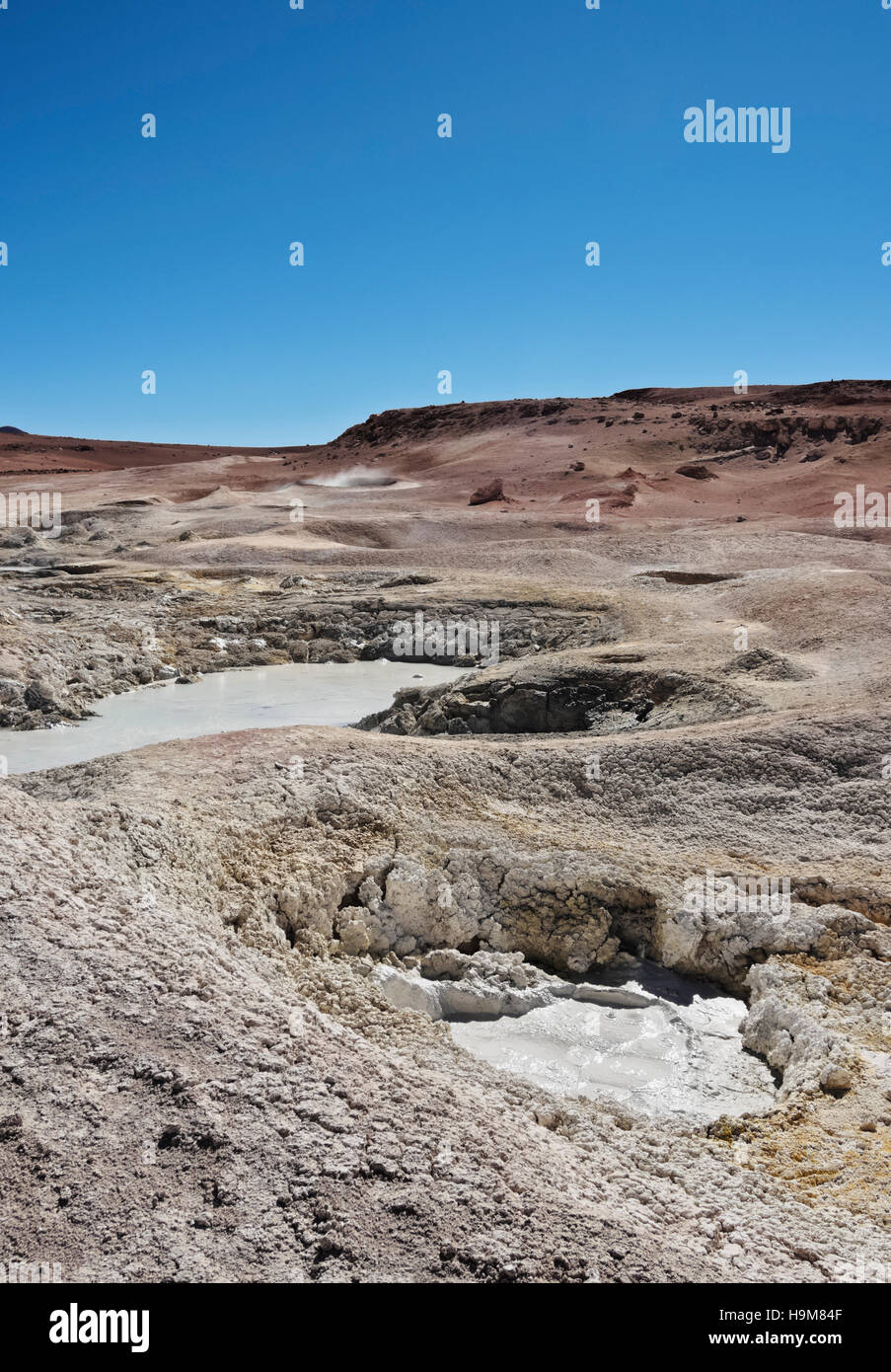 Bolivia Potosi Departmant Sur Lipez Province Eduardo Avaroa Andean ...