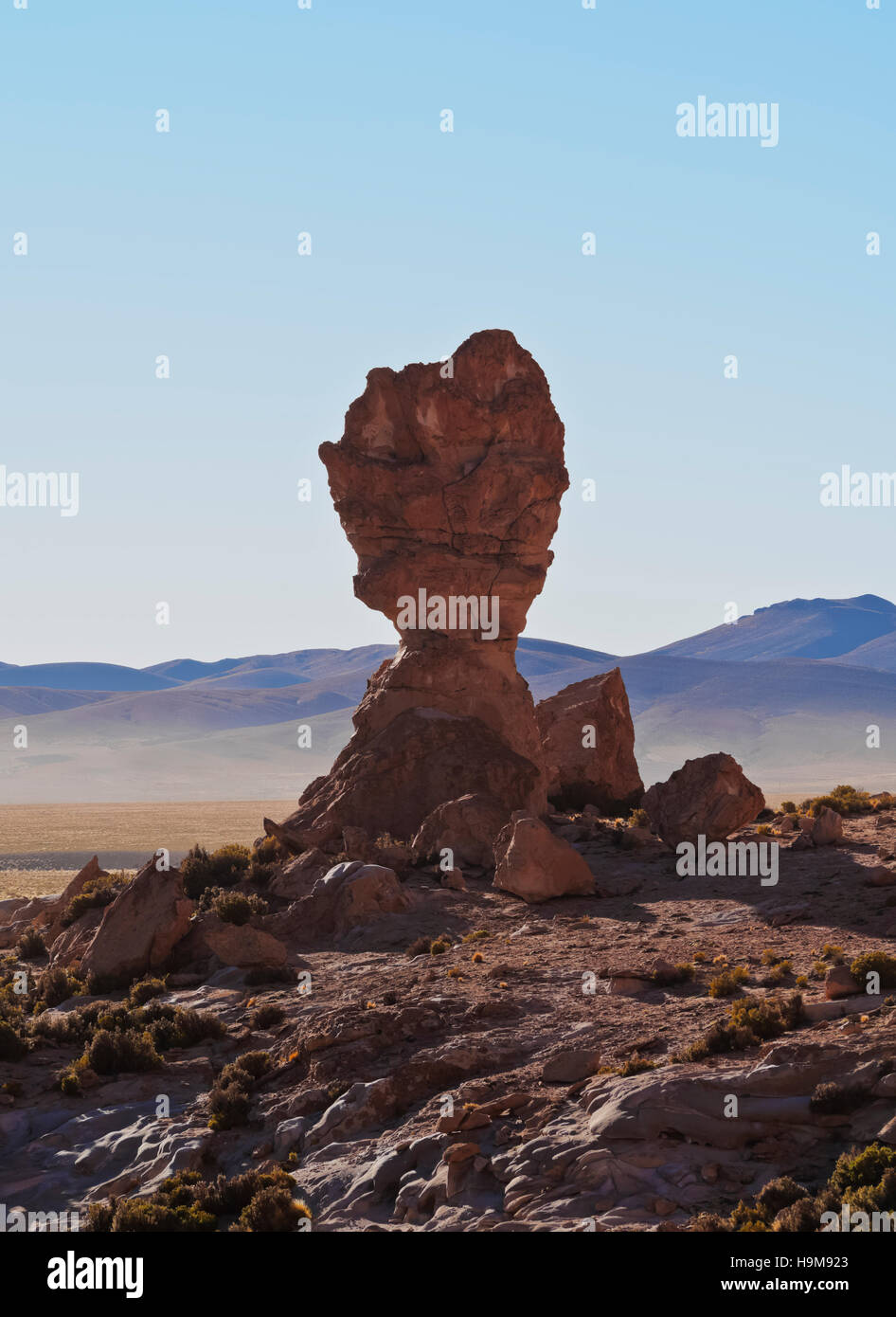 Characterictic hi-res stock photography and images - Alamy