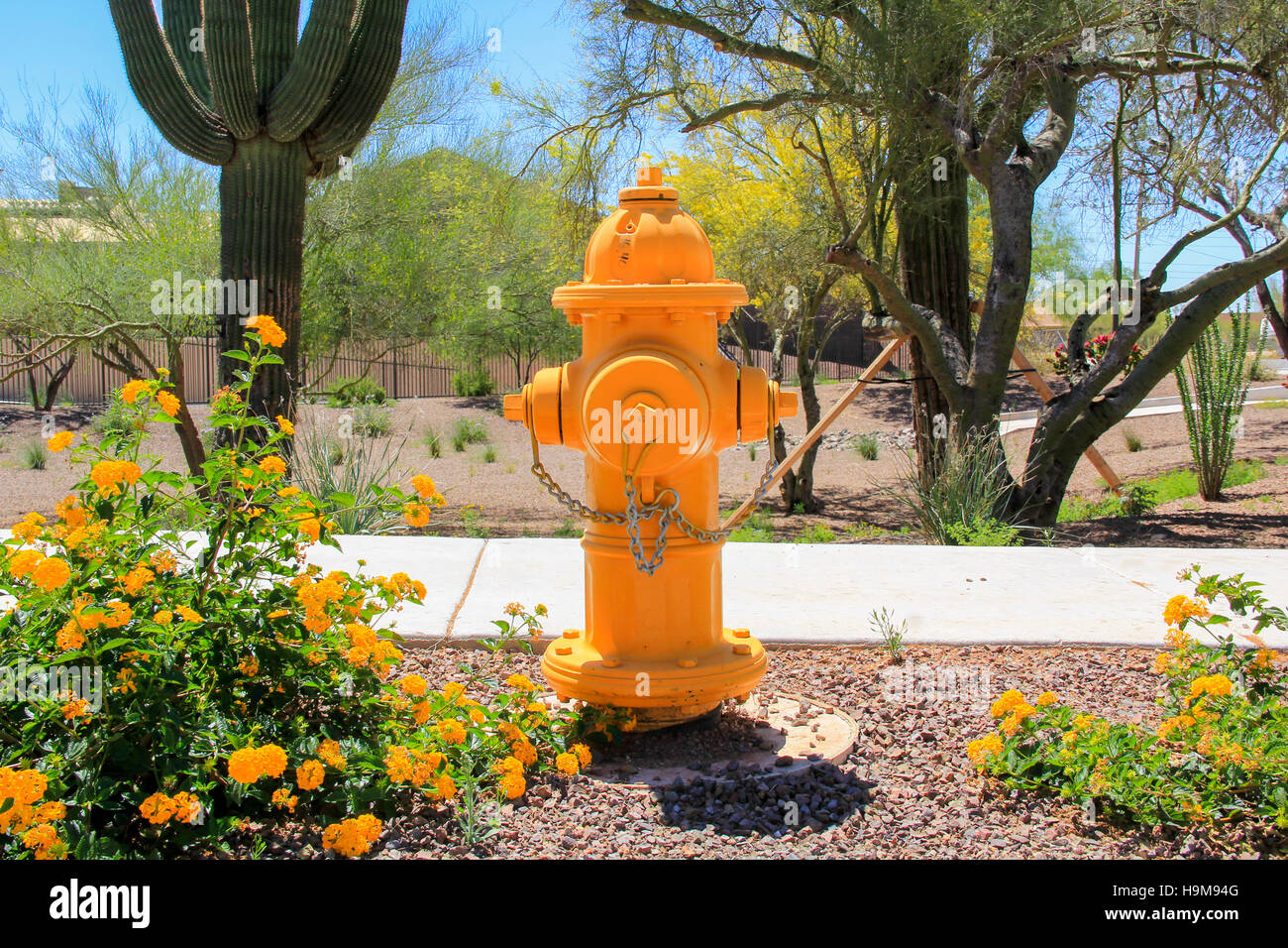 Yellow Fire Hydrant for Emergencies - Public Utility Stock Photo - Alamy