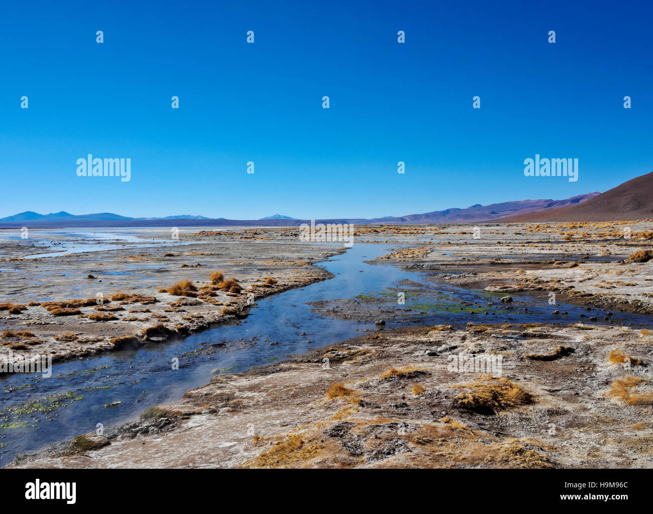 Bolivia Potosi Departmant Sur Lipez Province Eduardo Avaroa Andean ...