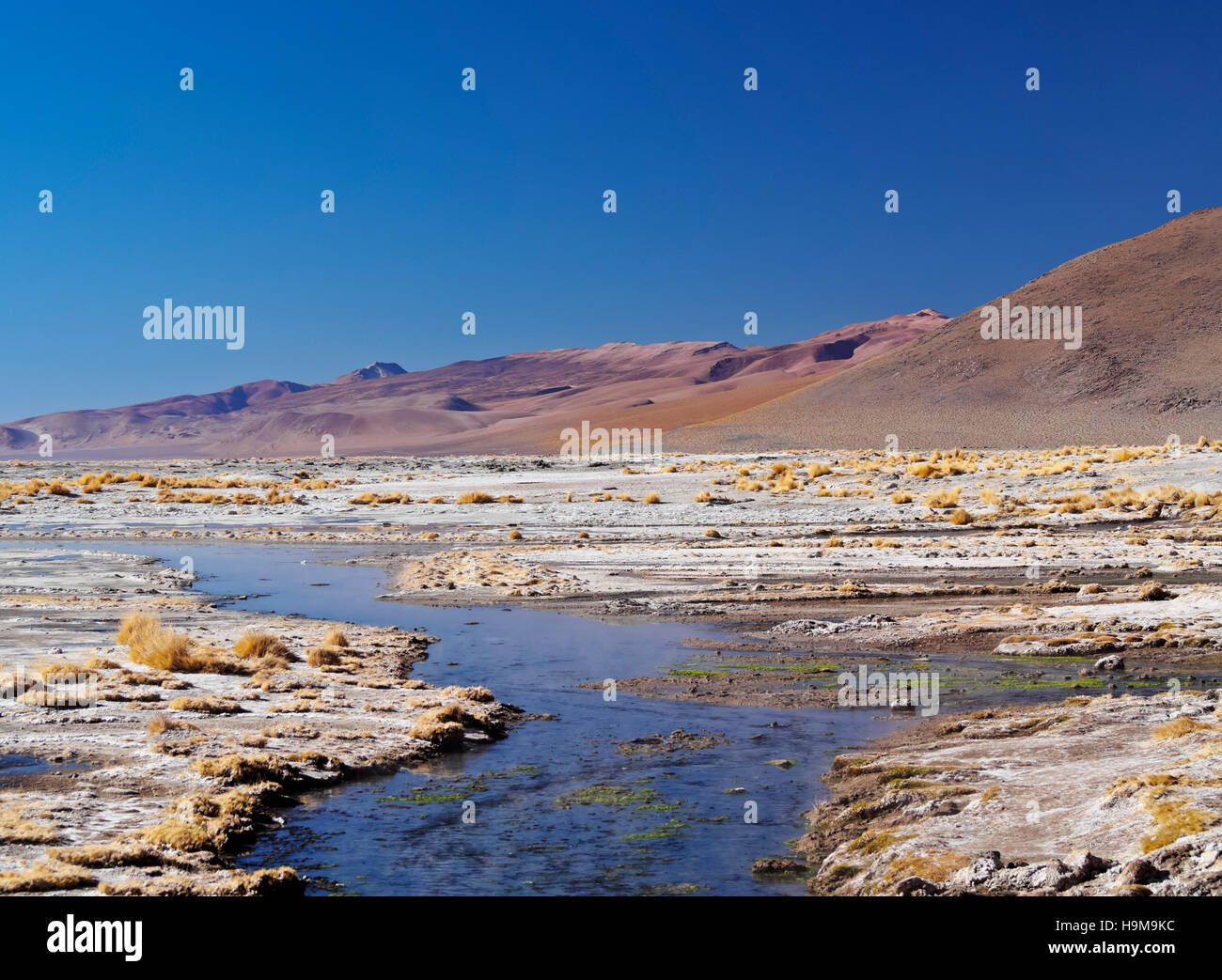 Bolivia Potosi Departmant Sur Lipez Province Eduardo Avaroa Andean ...