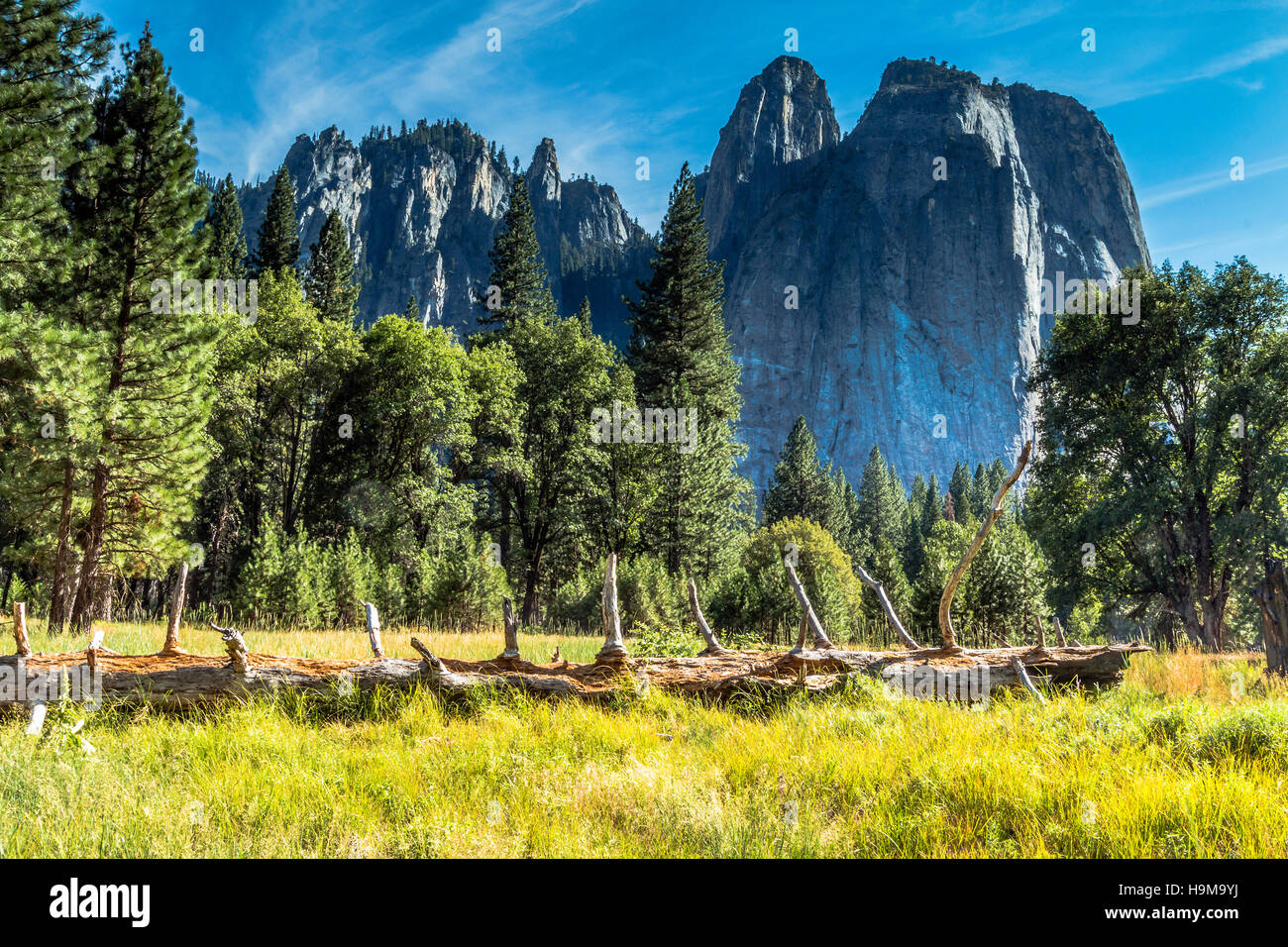 images of Yosemite National Park Stock Photo - Alamy