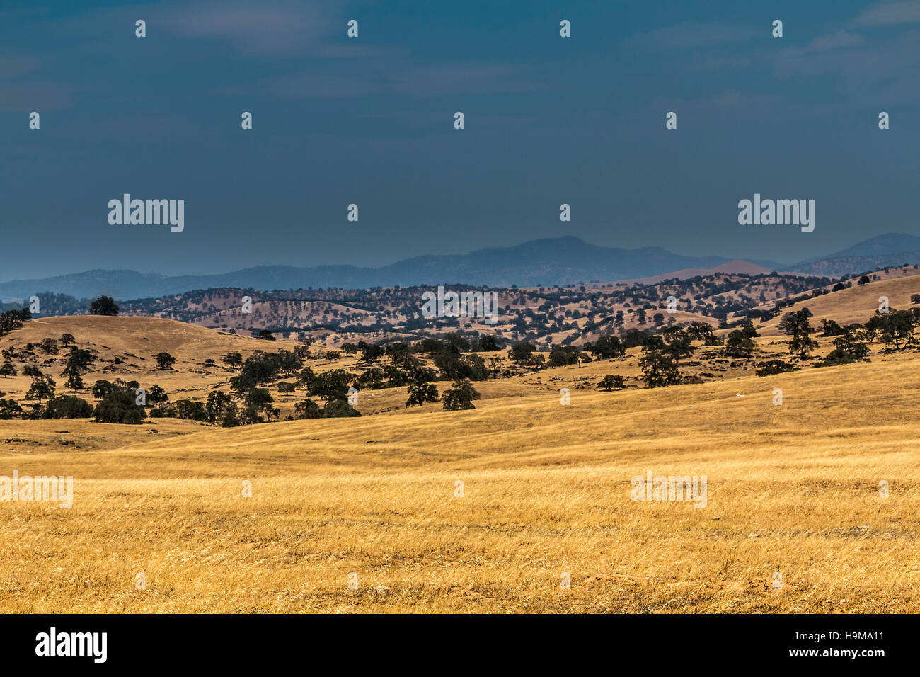 landscape images of eastern California in the sierra Nevada mountains ...