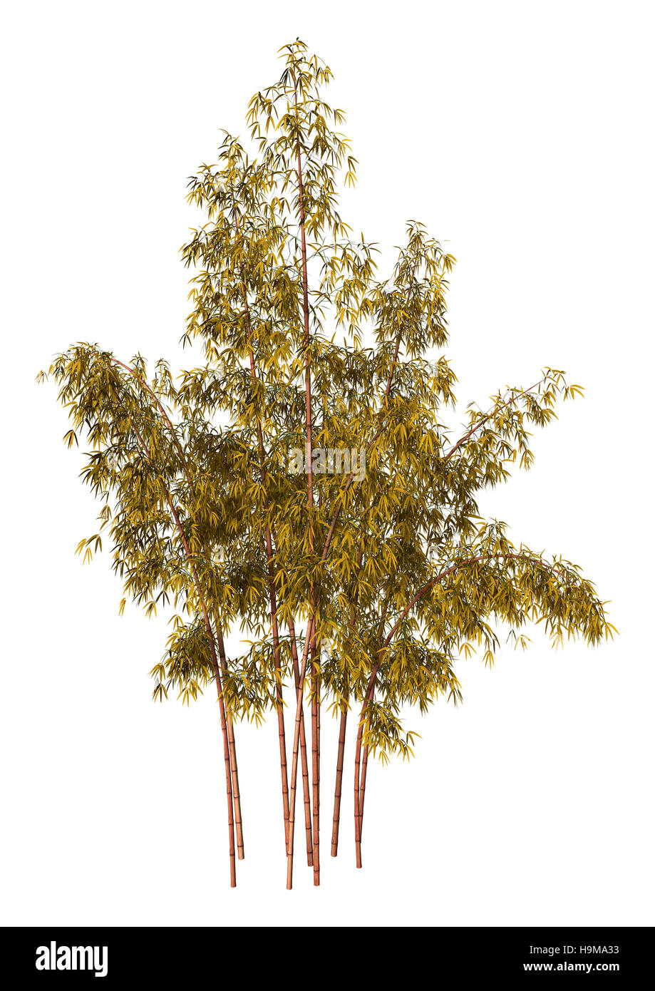 3D rendering of golden bamboo trees isolated on white background Stock ...