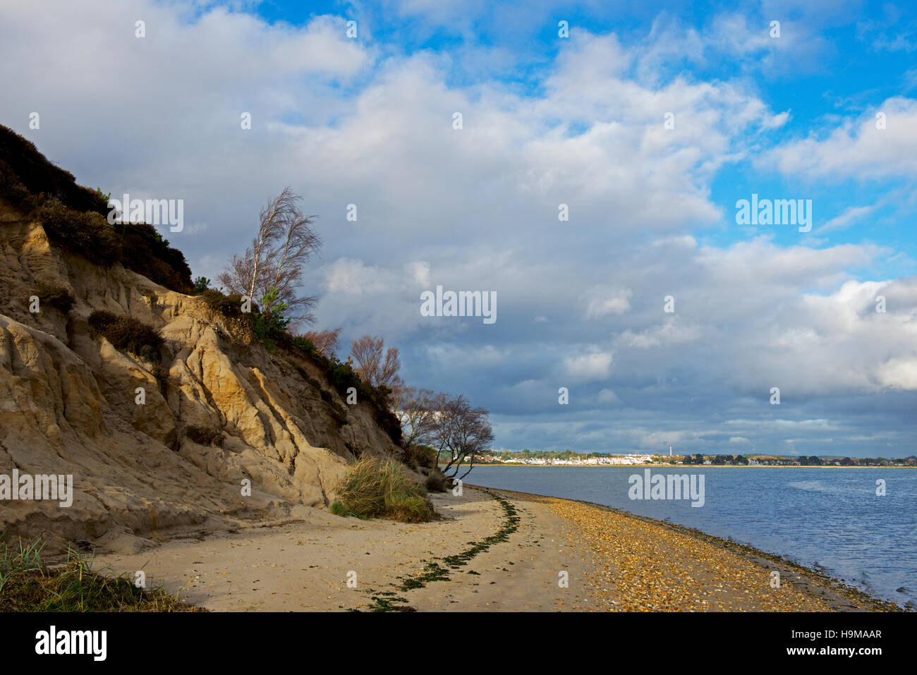 The beach at RSPB Arne, a nature reserve in Dorset, England Stock Photo ...