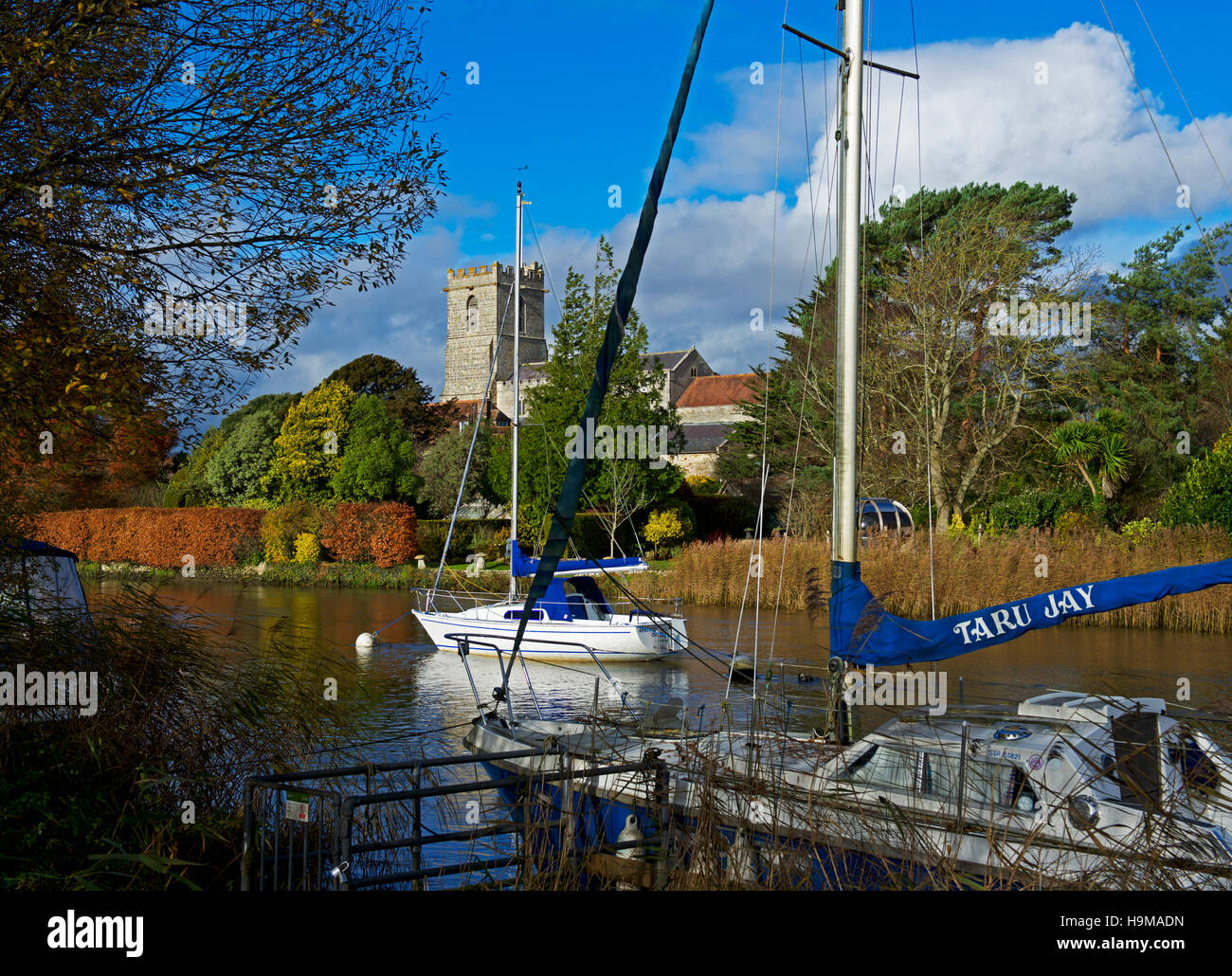 The River Frome at Wareham, Dorset, England UK Stock Photo - Alamy