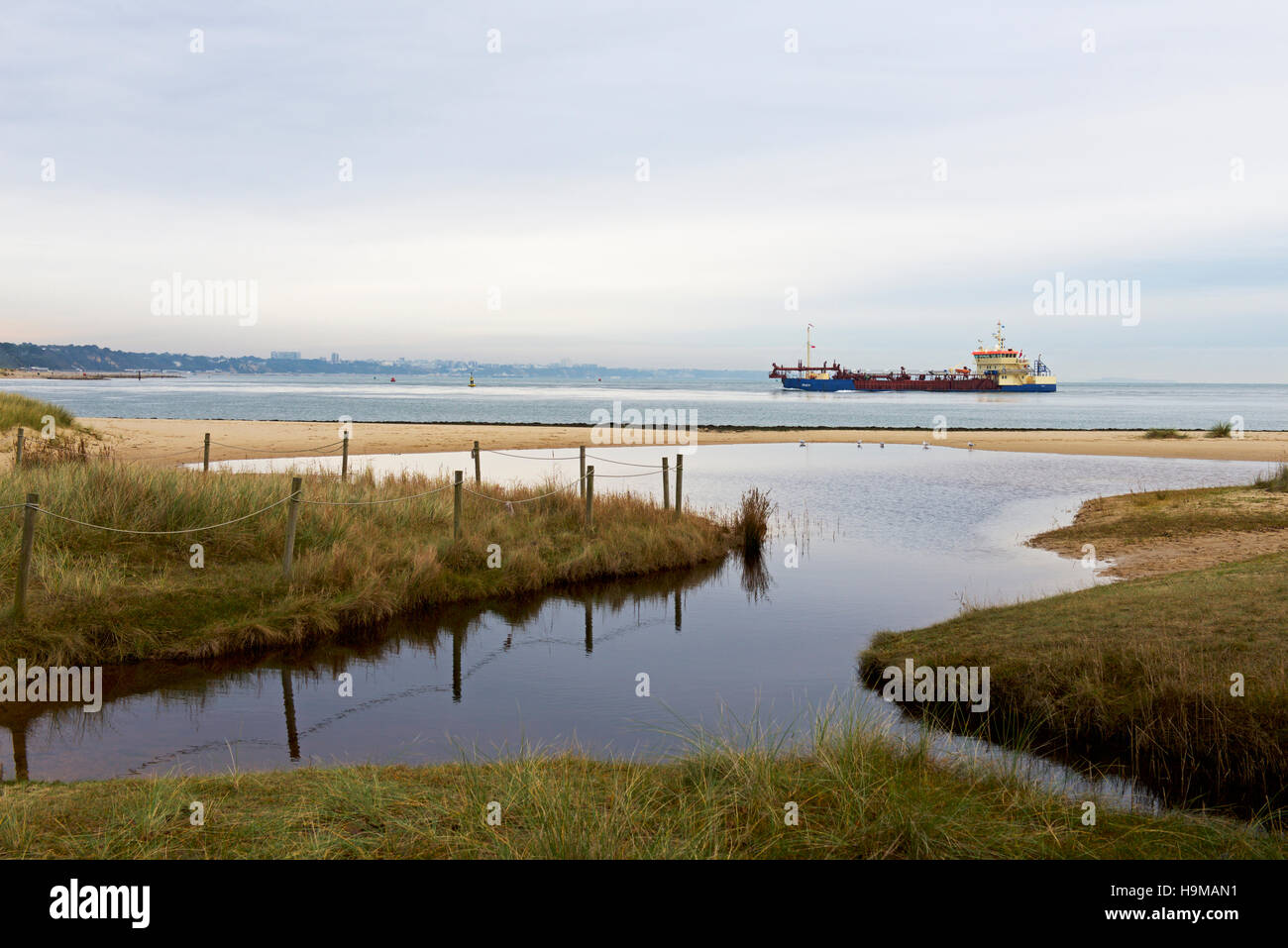 The Beach at Studland, Isle of Purbeck, Dorset, England UK Stock Photo ...