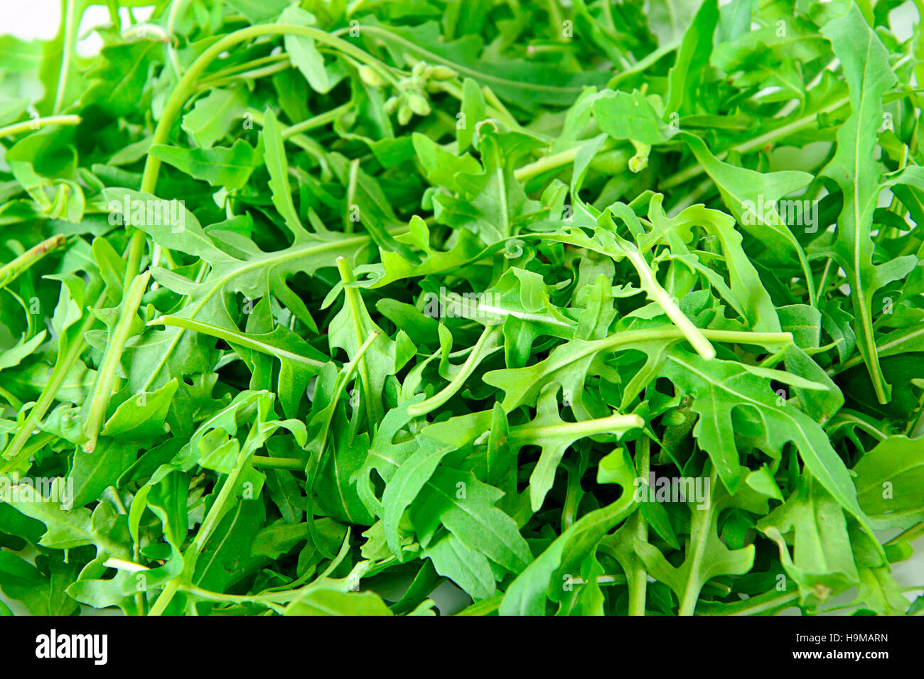 Arugula on Dark Woody Background. Studio Photo Stock Photo - Alamy
