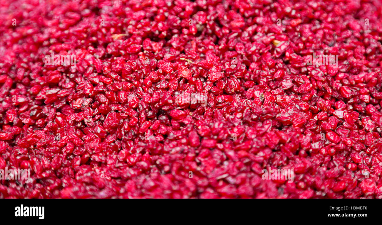 in iran factory of dried cranberries lots of vitamin and fresh ...
