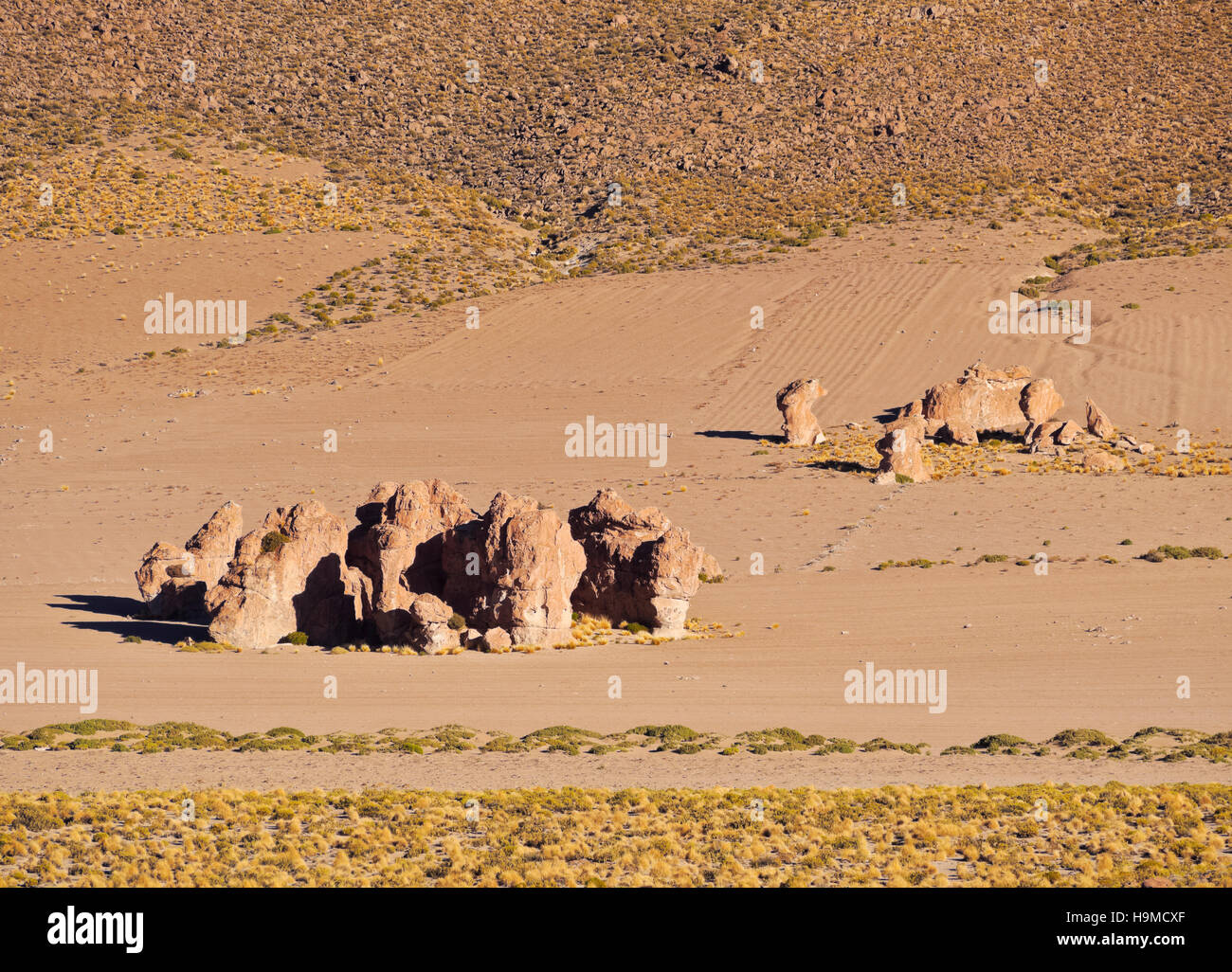 Bolivia, Potosi Departmant, Nor Lipez Province, Landscape of the Valle ...