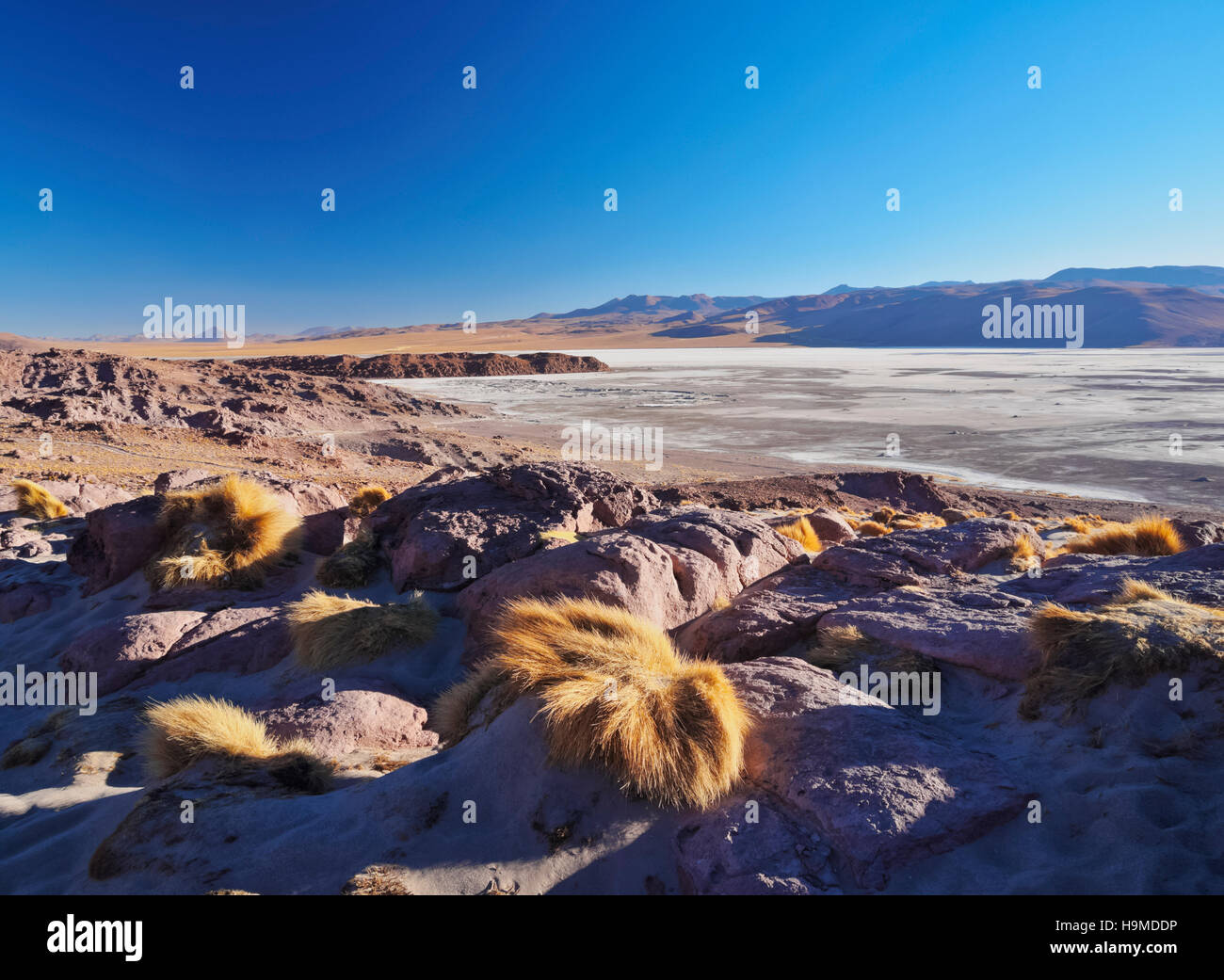 Bolivia, Potosi Departmant, Landscape of the Nor Lipez Province Stock ...