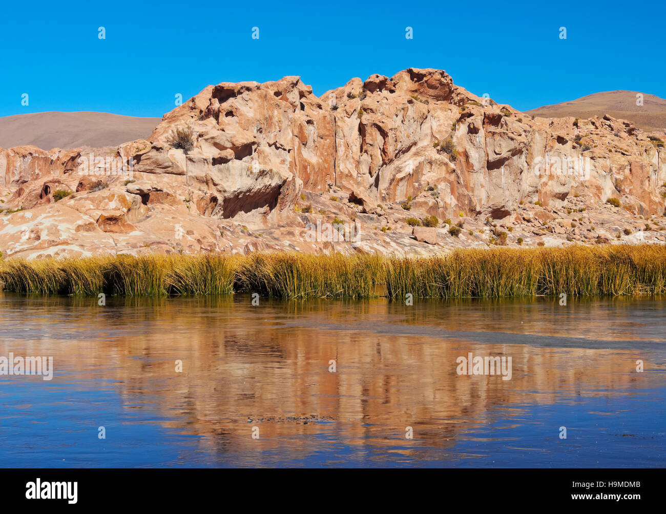 Bolivia, Potosi Departmant, Nor Lipez Province, Valle de las Rocas ...