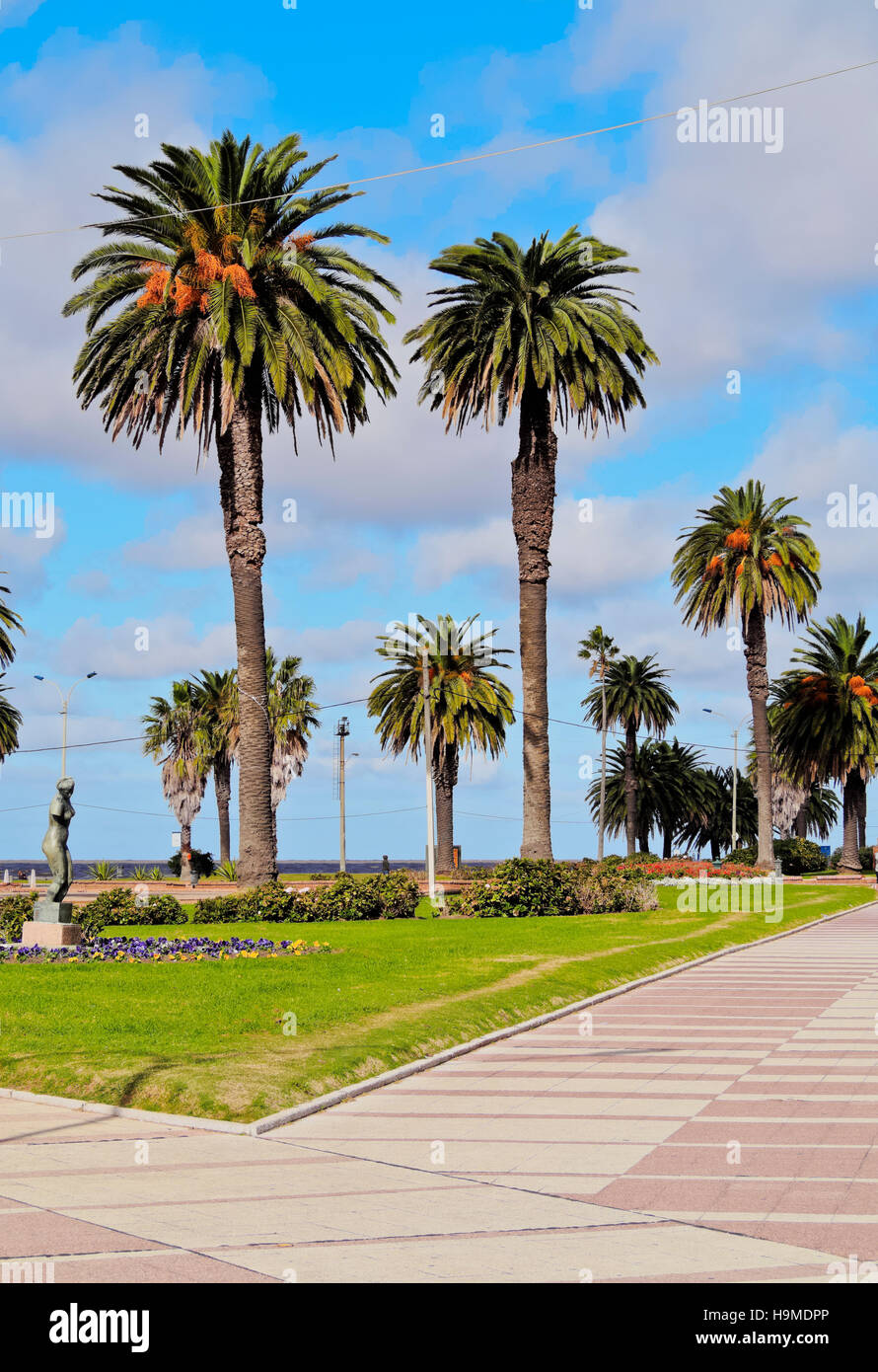Uruguay, Montevideo, View of the Rambla Stock Photo - Alamy
