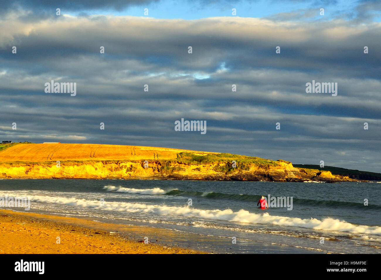 Man in a red t shirt paddles in the sea at Garrettstown beach, County ...
