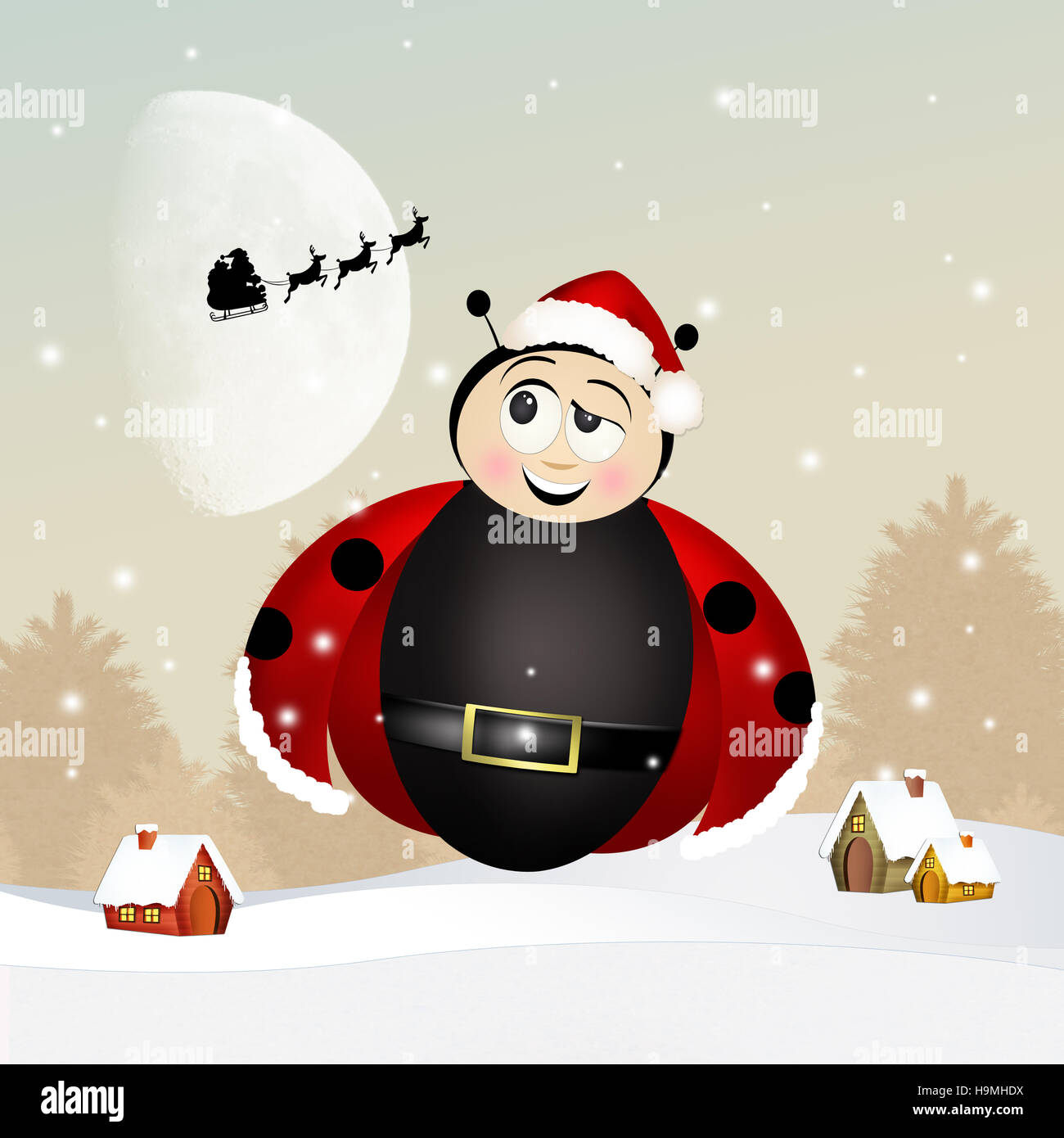 ladybug at Christmas Stock Photo - Alamy