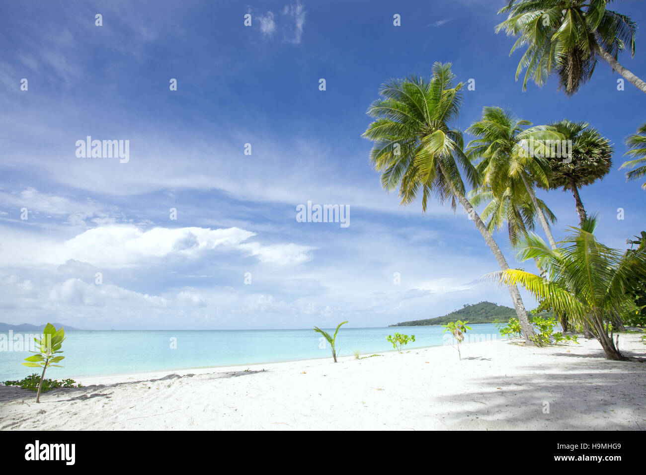 Cruise tropic hi-res stock photography and images - Alamy