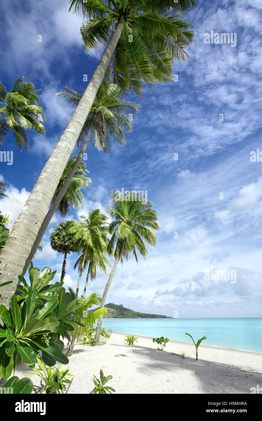 Cruise tropic hi-res stock photography and images - Alamy
