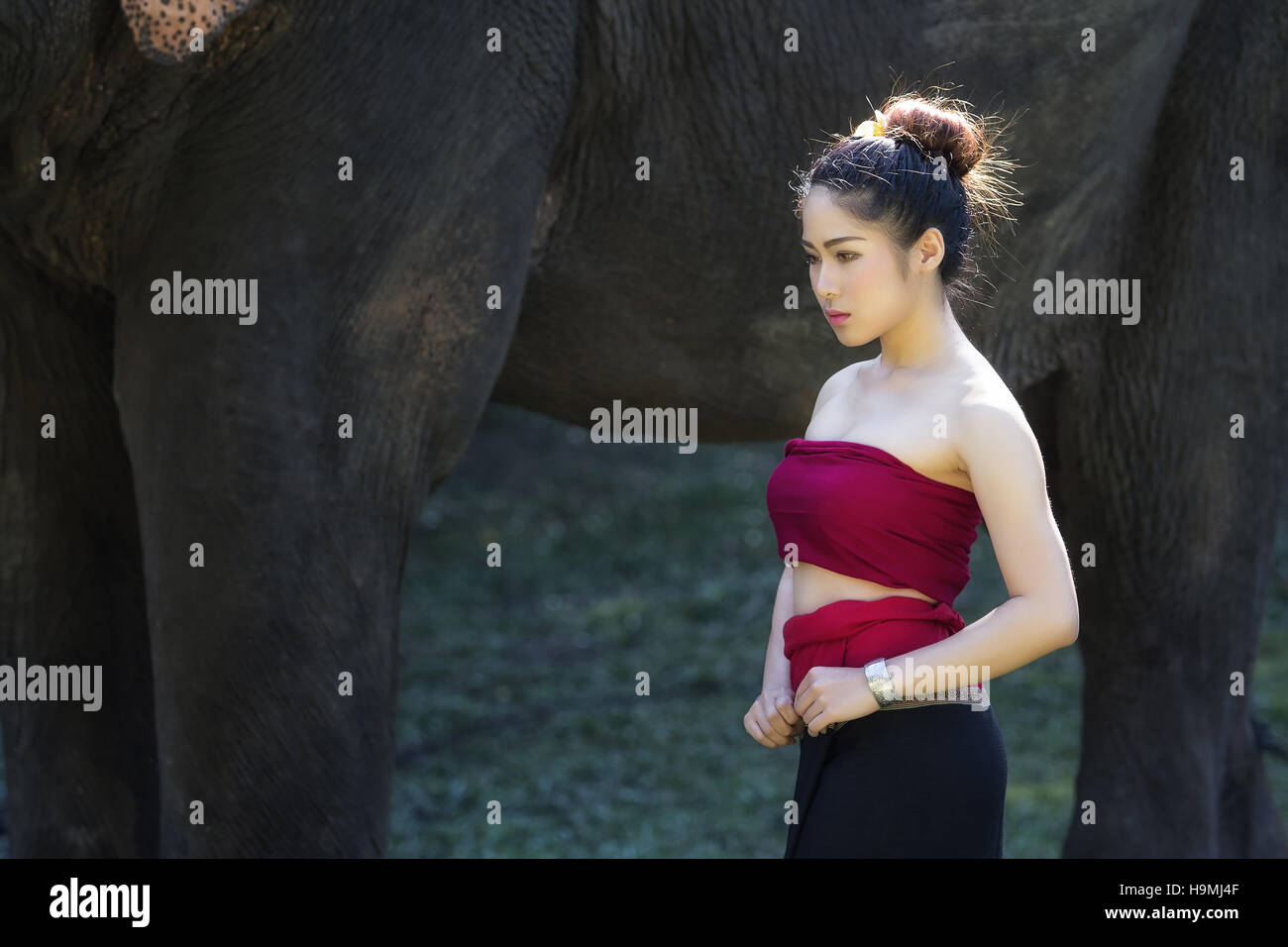 Portrait of Beautiful rural thai woman wear thai dress with elephant in ...