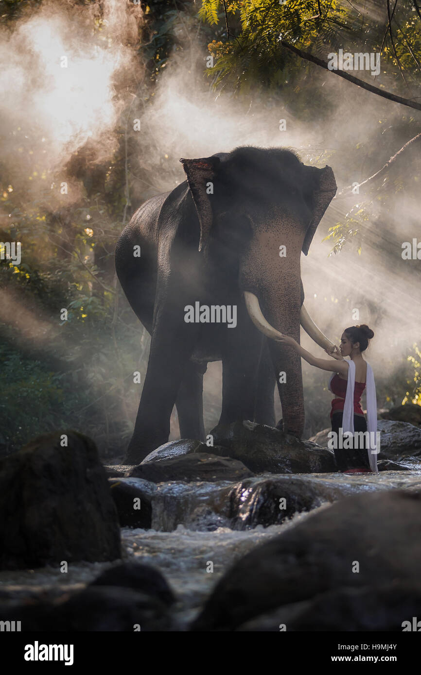 Portrait of Beautiful rural thai woman wear thai dress with elephant in ...