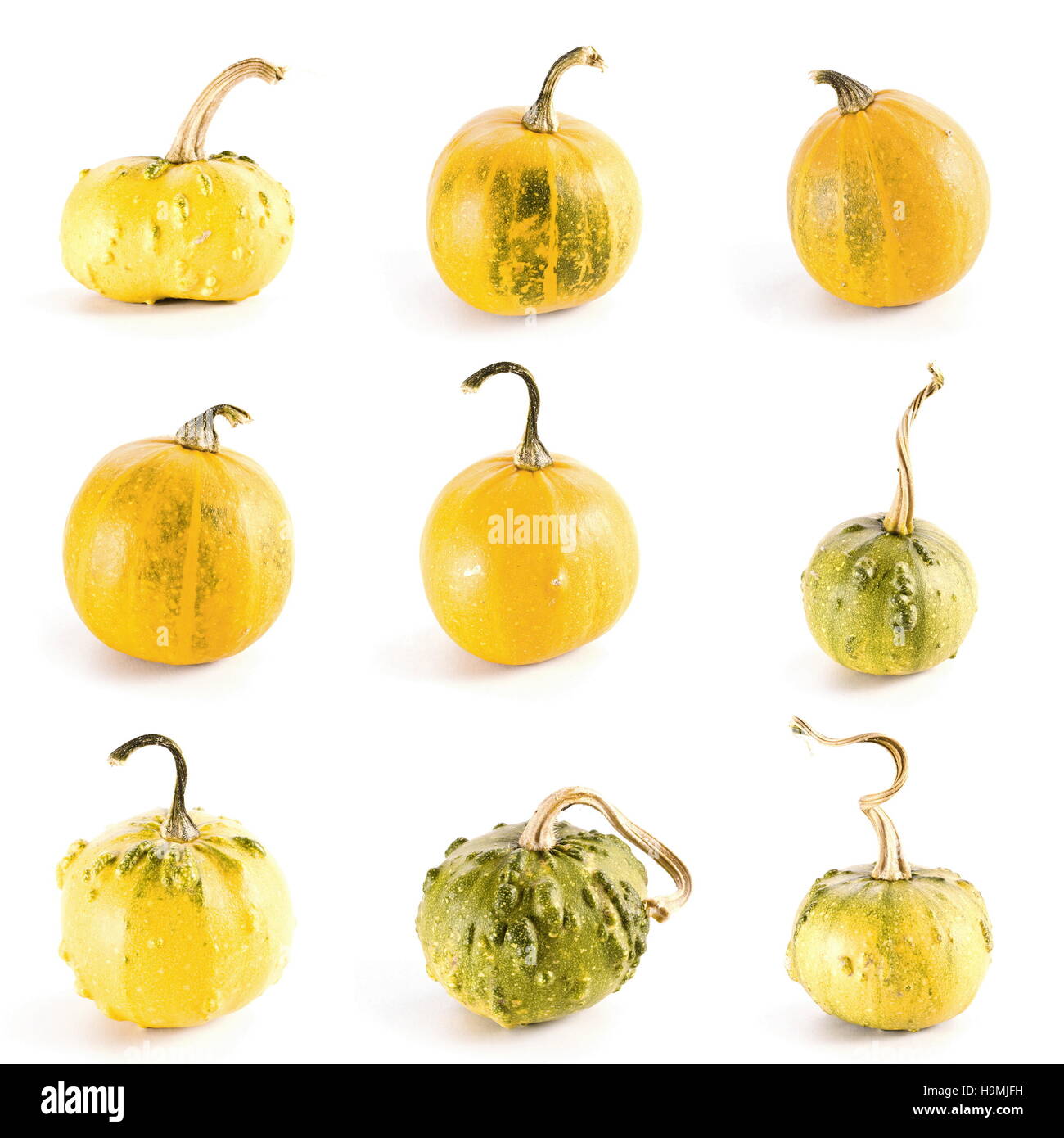Set pumpkin different shapes hi-res stock photography and images - Alamy