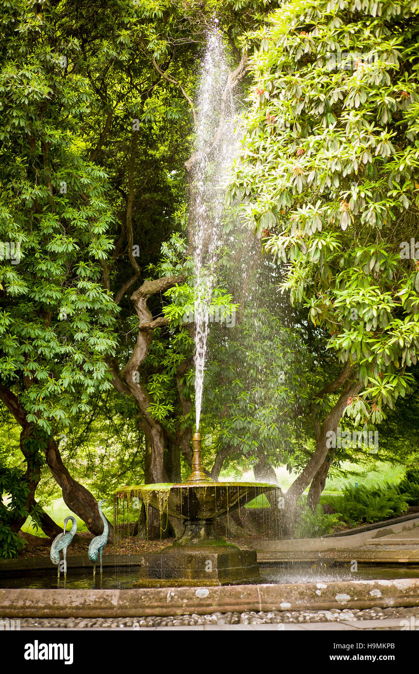 Holker hall and gardens, cumbria hi-res stock photography and images ...