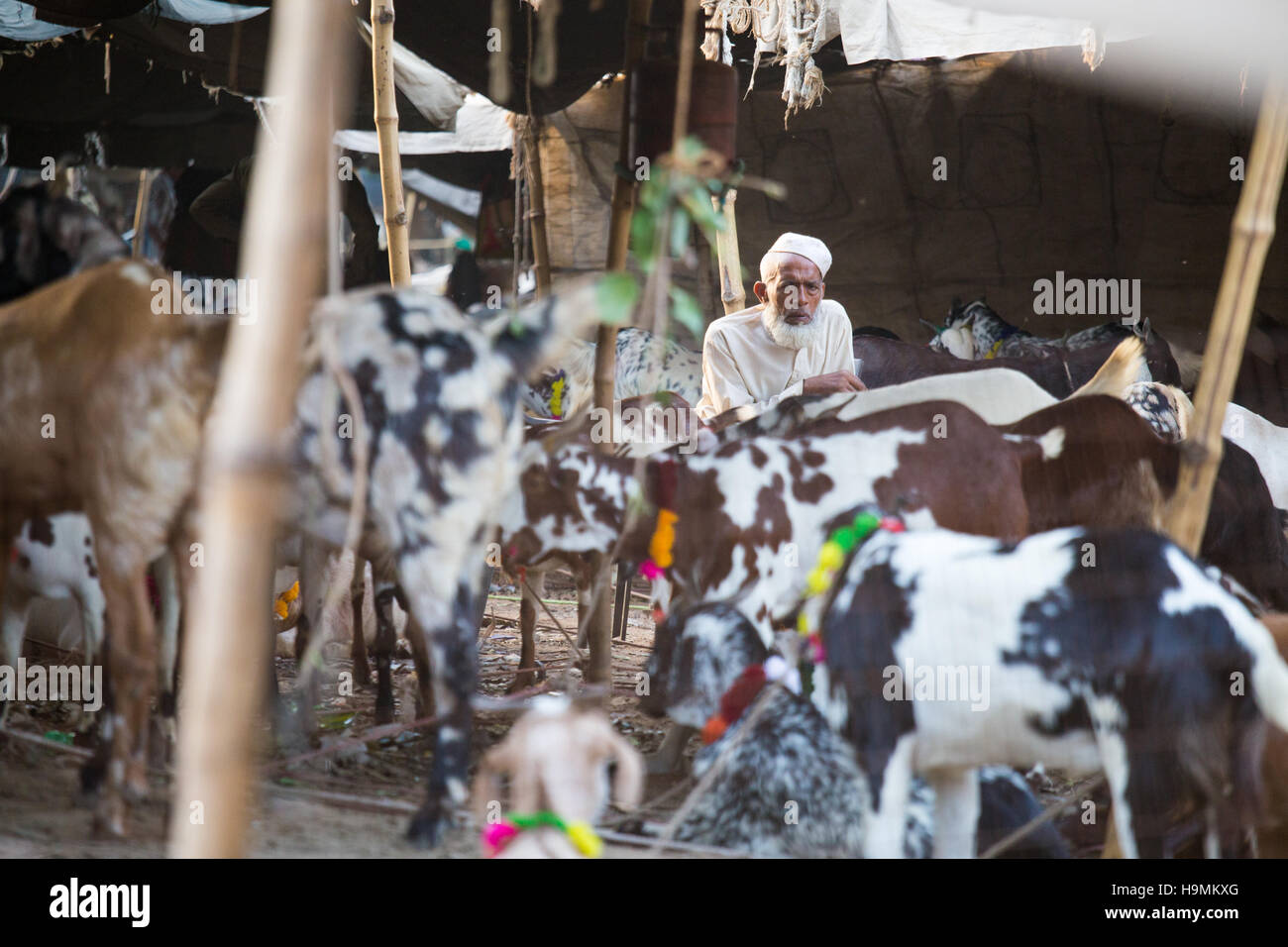 Eid in Old Delhi, India Stock Photo - Alamy