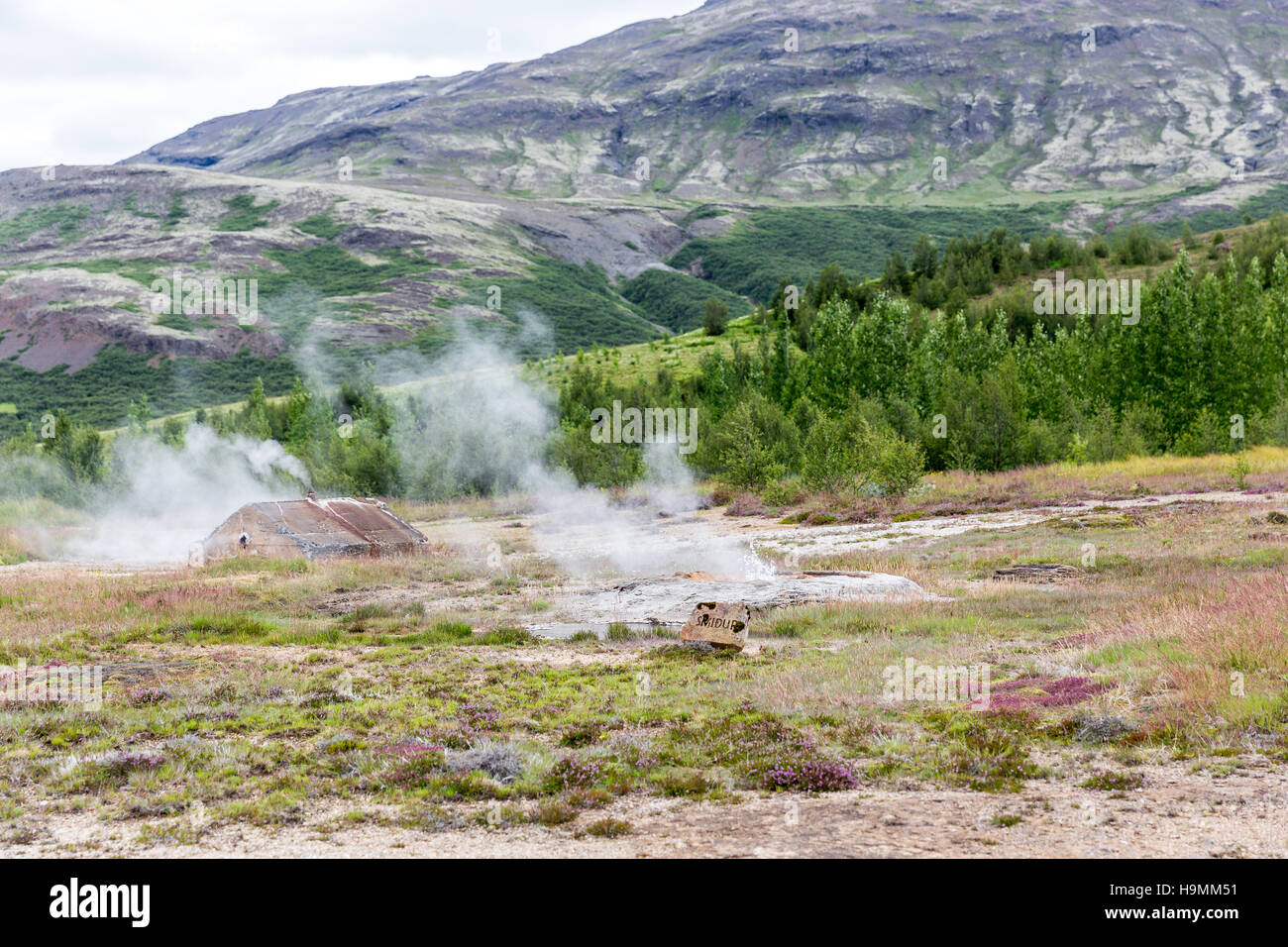 Golden circle, Iceland, Geysir, Geothermal field, eruption Stock Photo ...