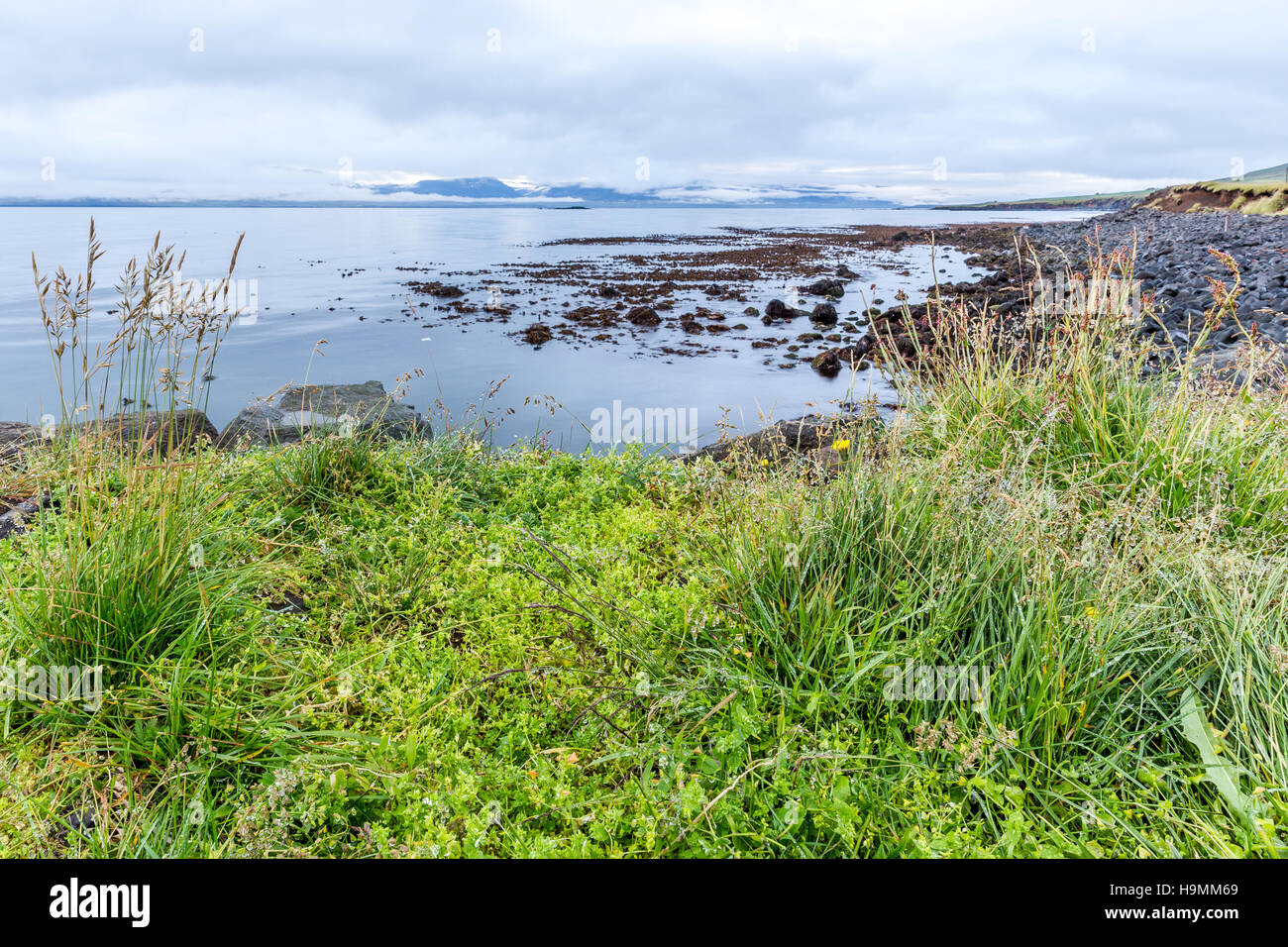 Reykir camp, Iceland, nature, seaside, mountains, volcanic area Stock ...
