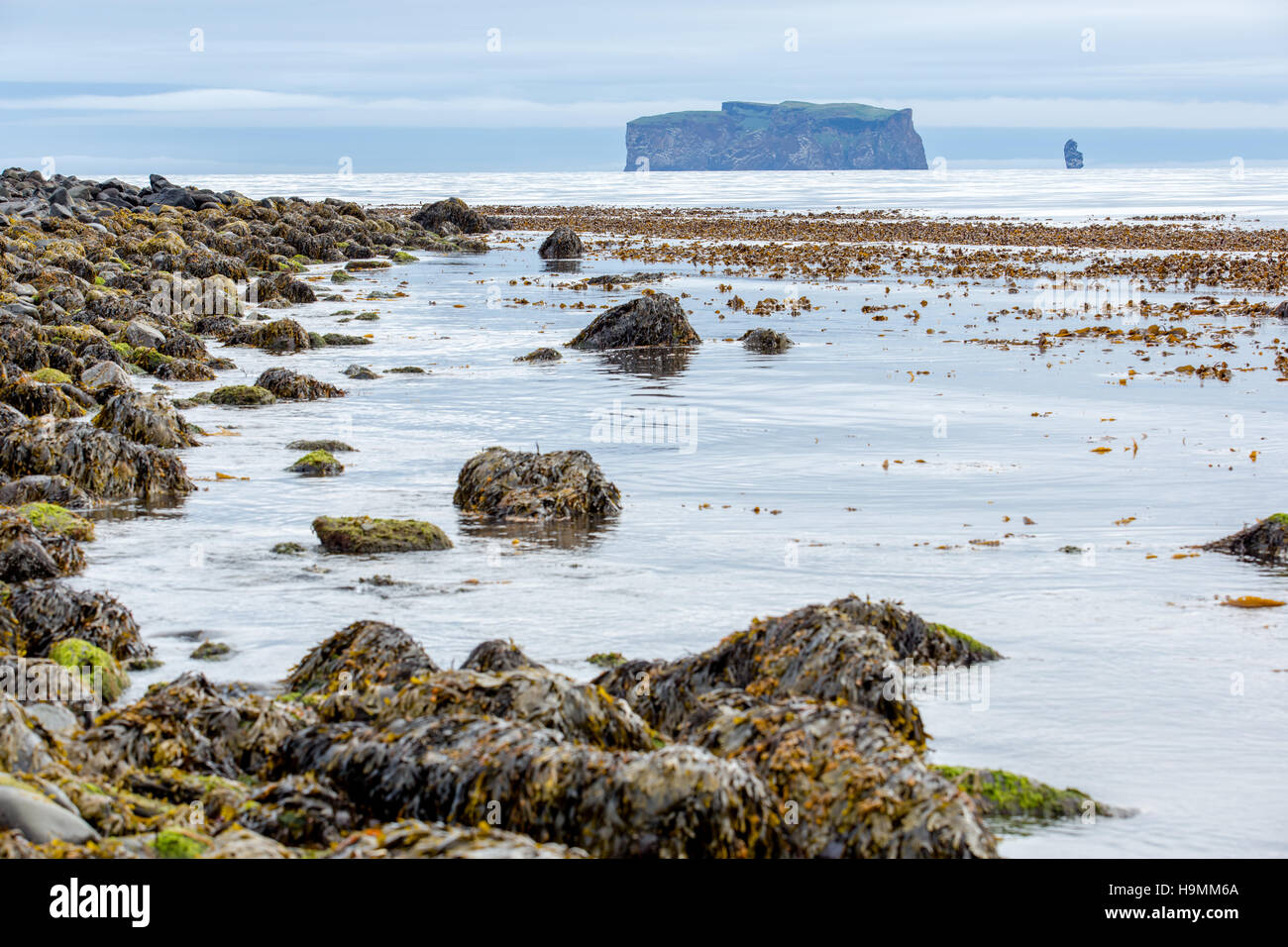 Reykir camp, Iceland, nature, seaside, mountains, volcanic area Stock ...