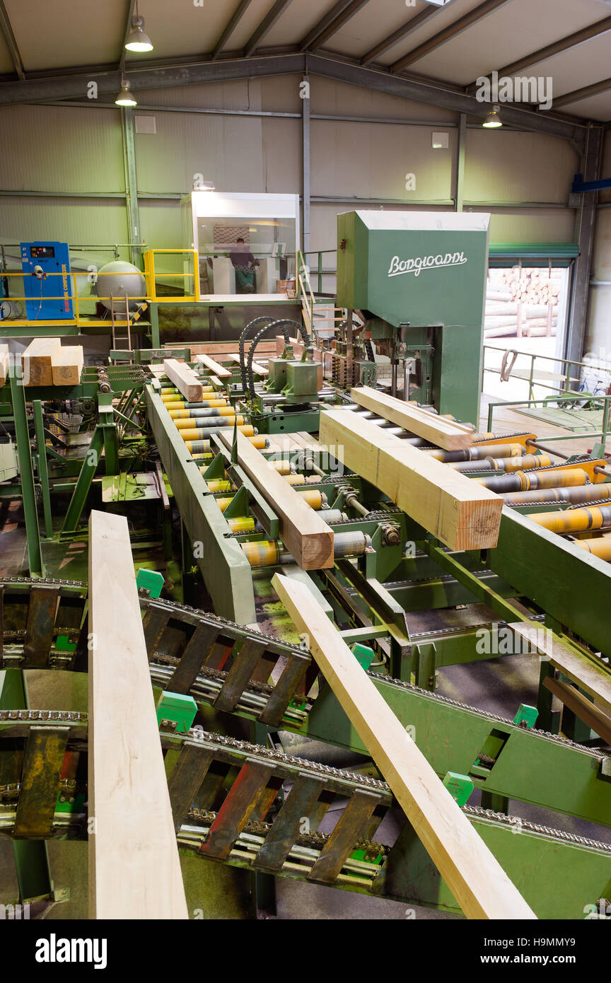 Cutting machine for square beams in timber processing plant, Templin ...