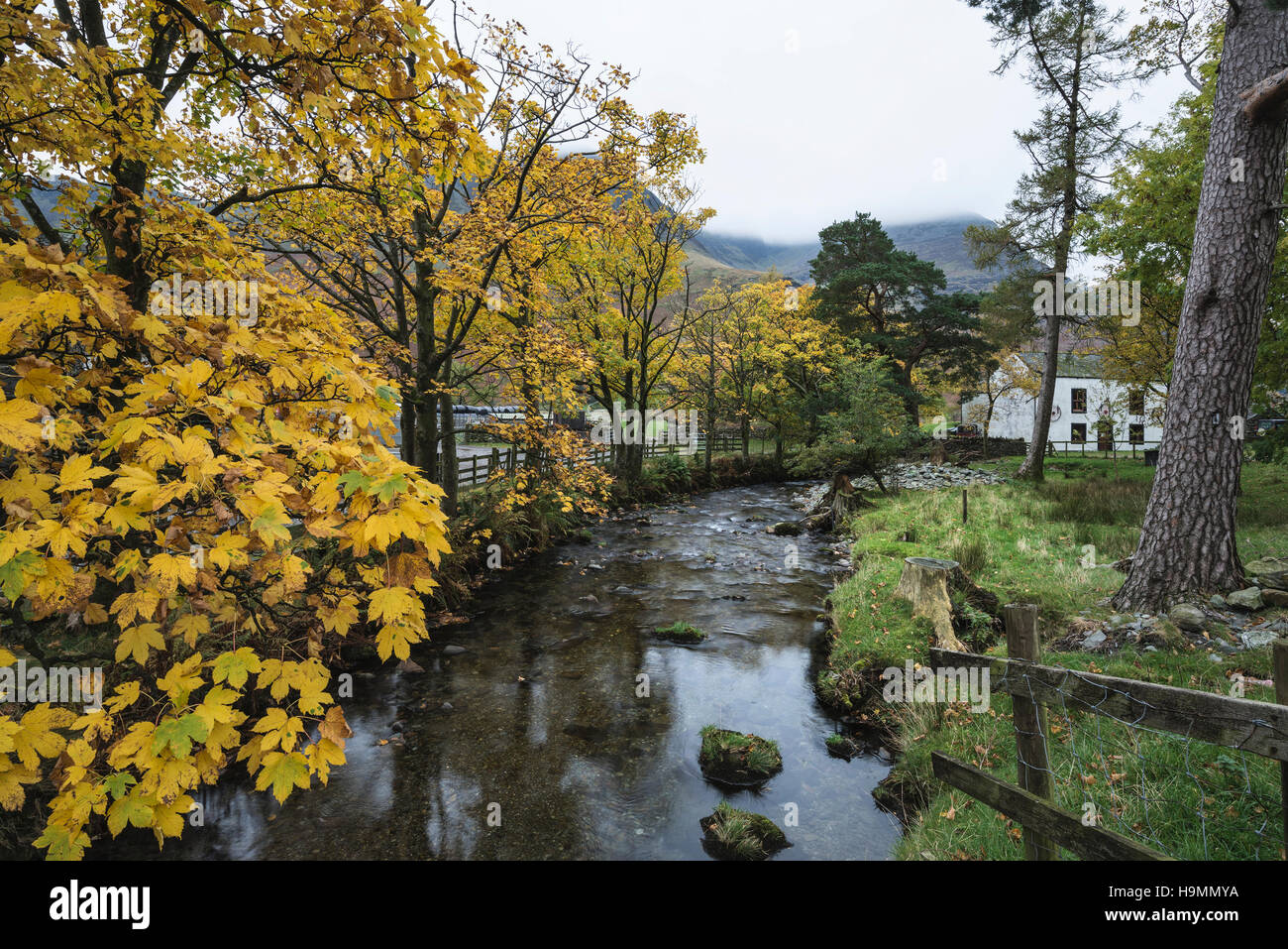 Stunning Autumn Fall landscape image of Lake Buttermere in Lake ...