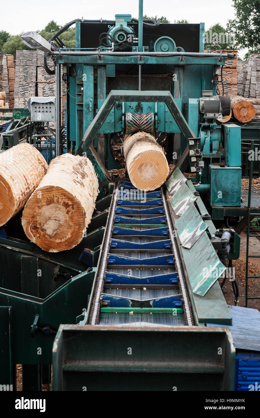 Treetrunks on conveyor in timber processing plant, Templin, Uckermark ...