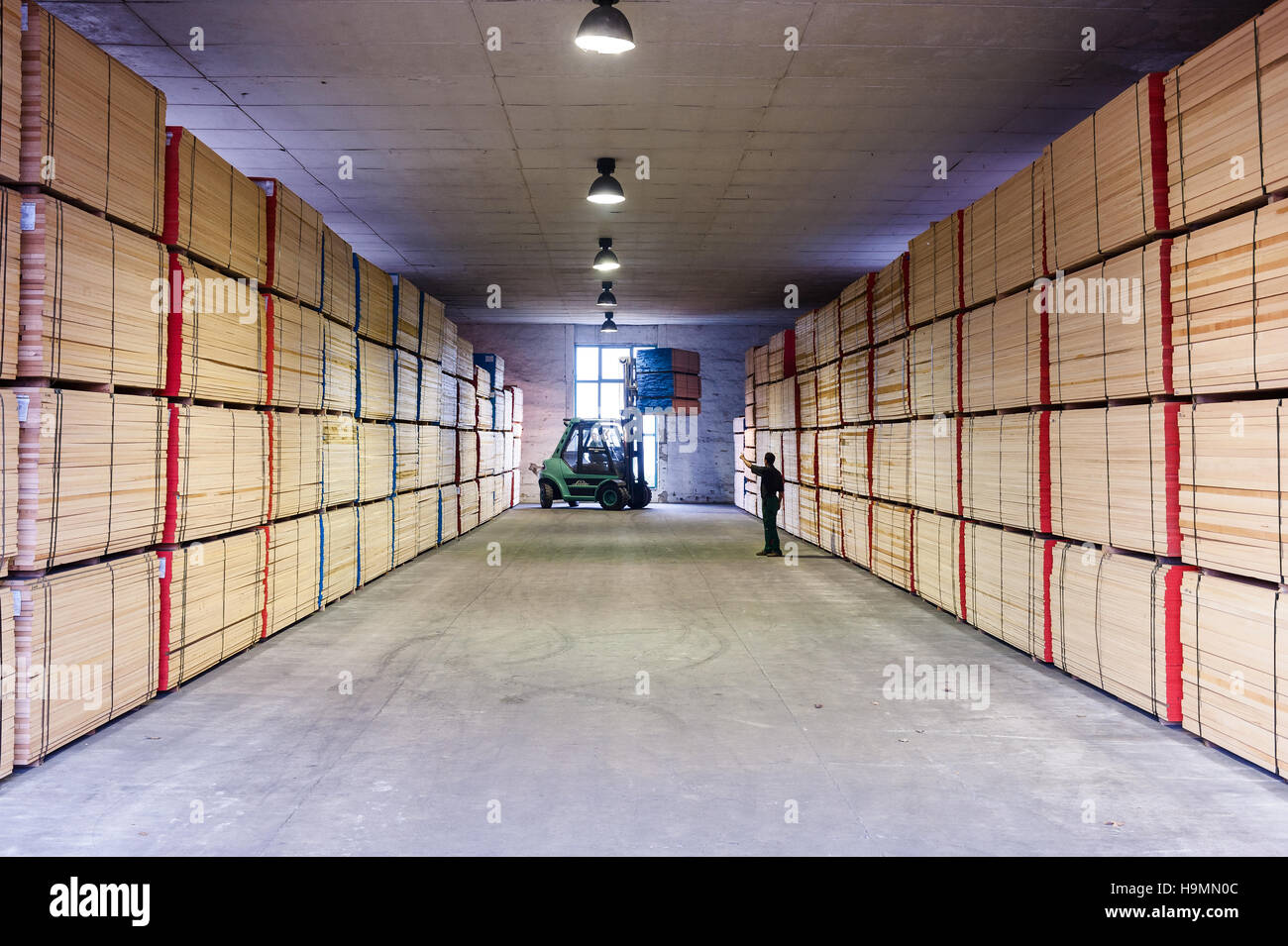 Wood storage warehouse in timber processing plant, Templin, Uckermark ...