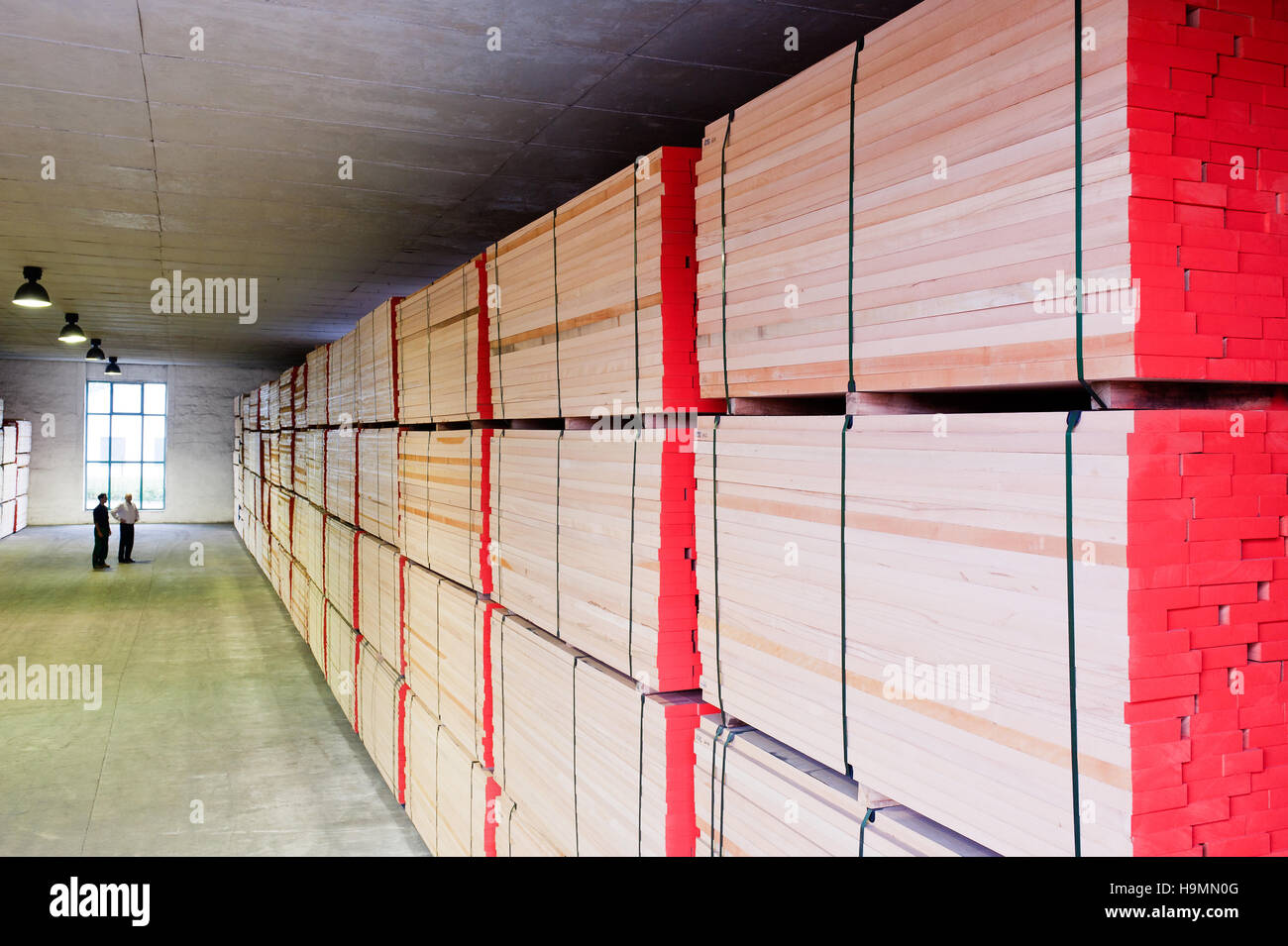 Inspection of wood storage warehouse in timber processing plant ...