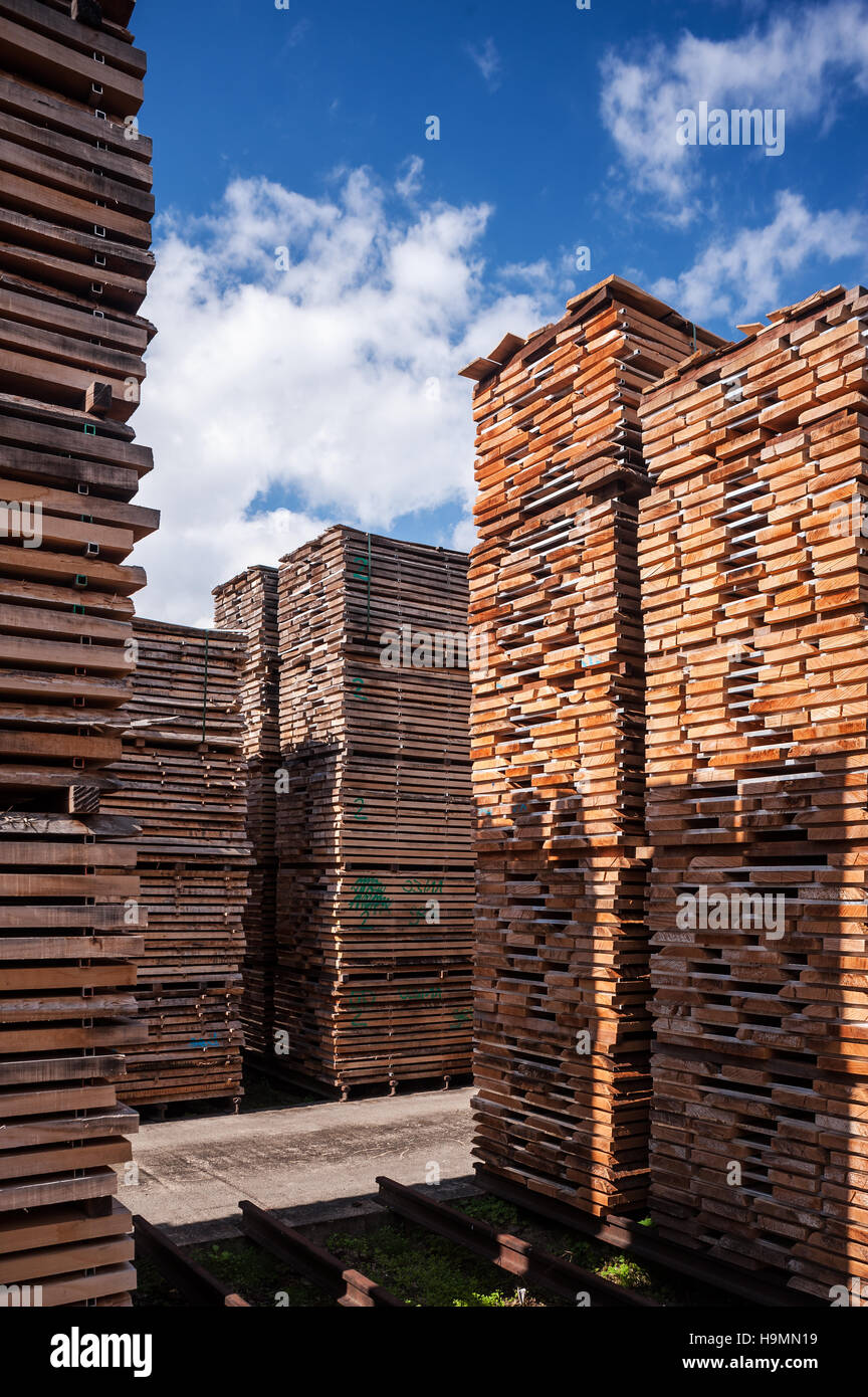 Wood storage in timber processing plant, Templin, Uckermark district of ...