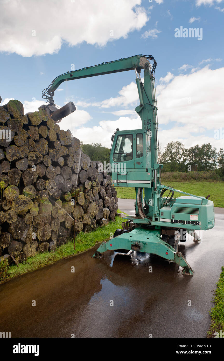 Crane lifting water treated wood, timber processing plant, Templin ...