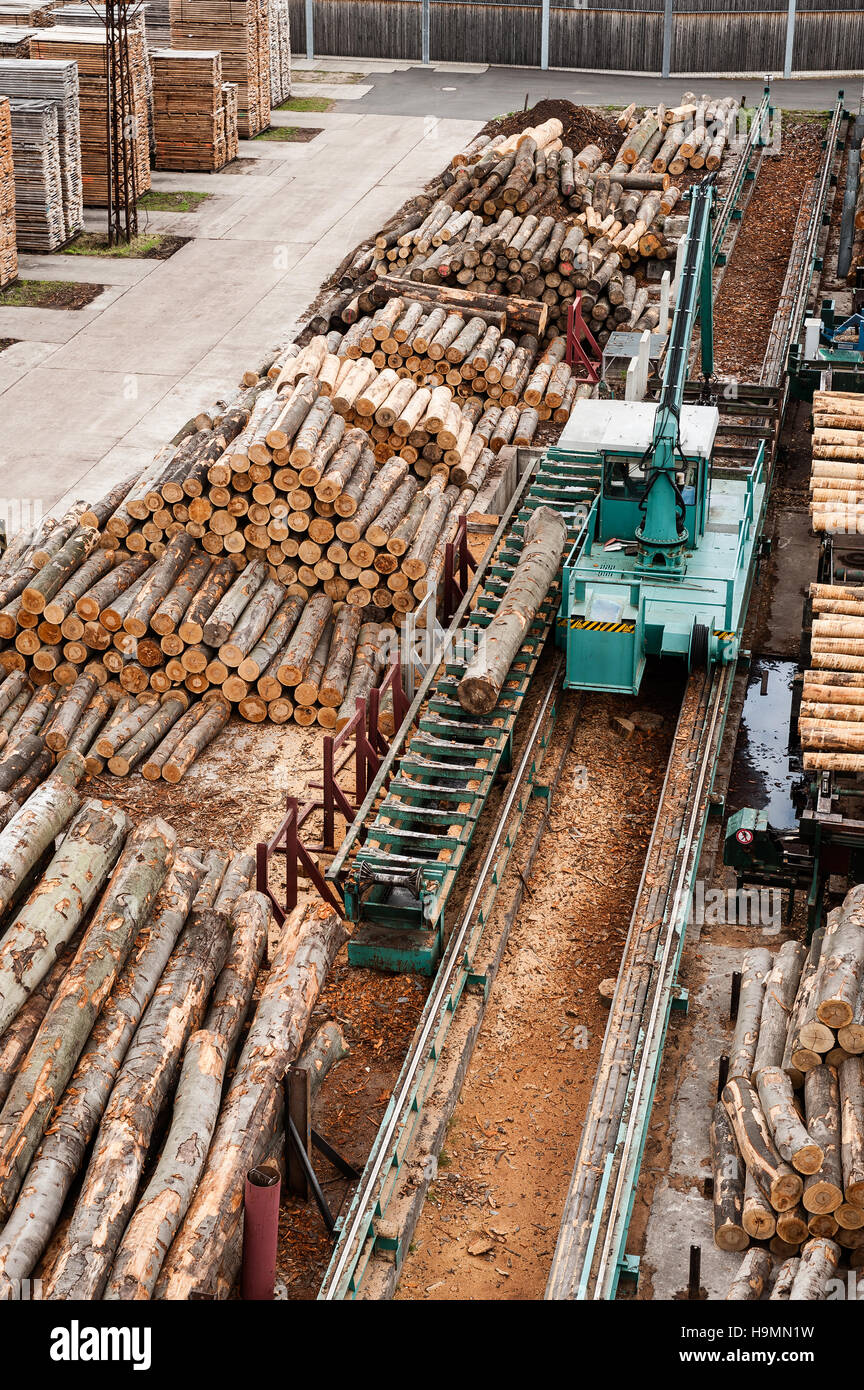Lifting timber onto conveyor in processing plant hi-res stock ...