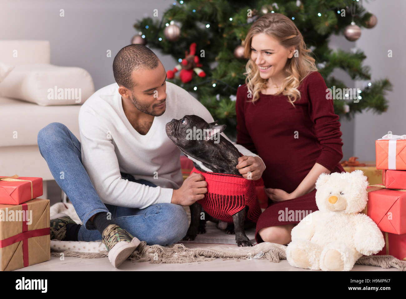 Handsome young man looking at his dog Stock Photo - Alamy