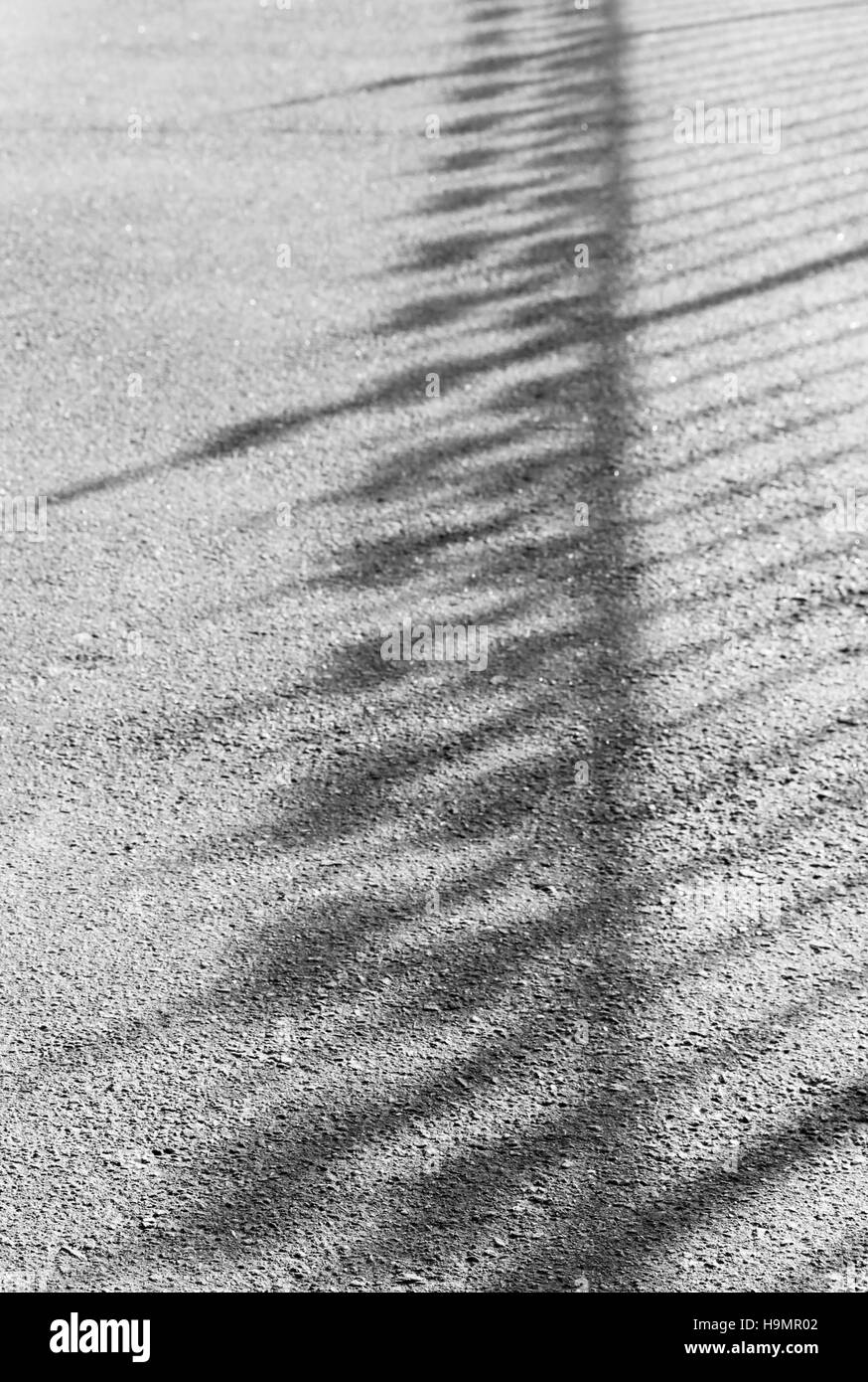 black and white photo of the shadow of the bars on the pavement Stock ...