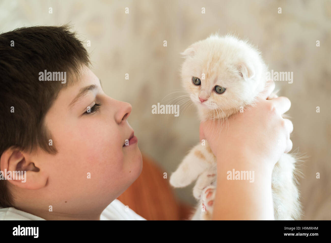 Boy teenager cat hi-res stock photography and images - Alamy