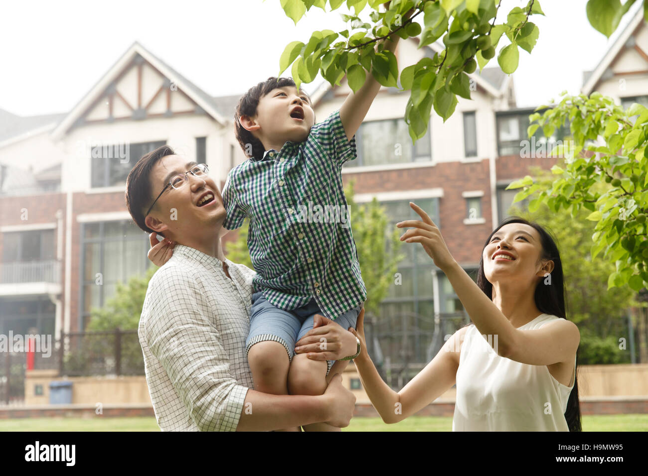 A happy family of three Stock Photo - Alamy