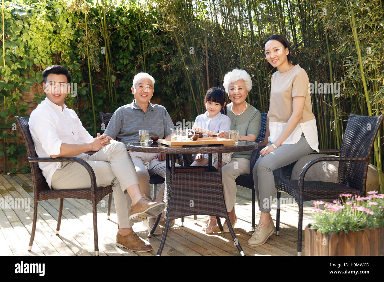 Tea family hi-res stock photography and images - Alamy