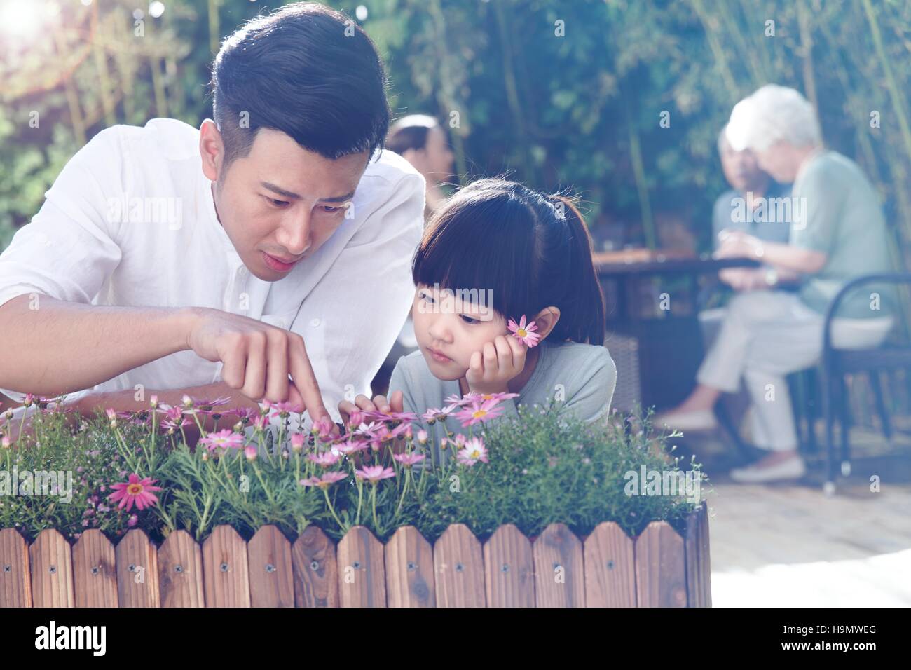 Happy family in the yard Stock Photo - Alamy