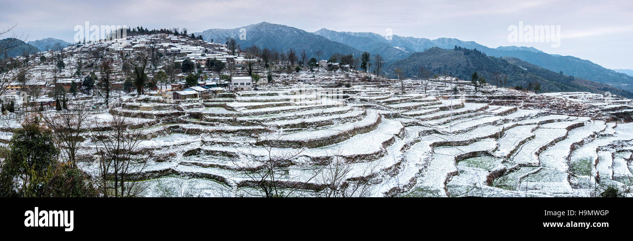 The old stockaded village in Guangdong province,China Stock Photo - Alamy