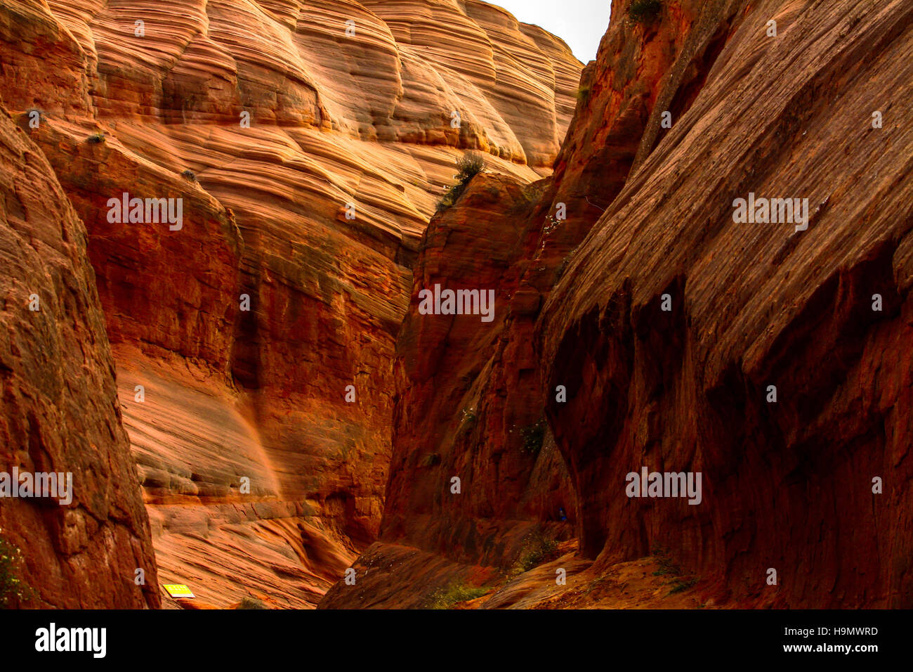 The red sand hill,Shaanxi Province,China Stock Photo - Alamy