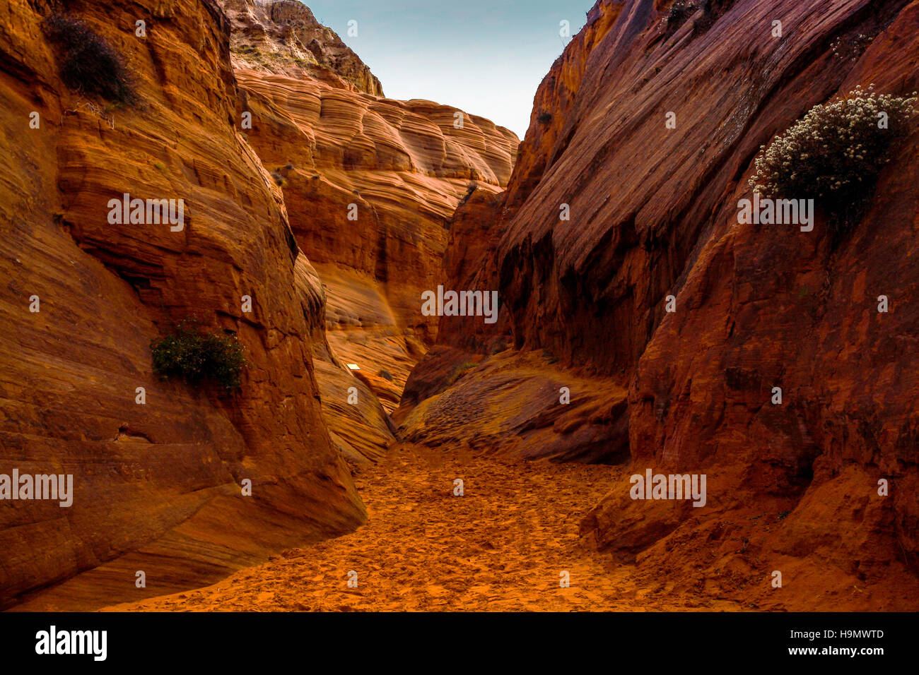 The red sand hill,Shaanxi Province,China Stock Photo - Alamy