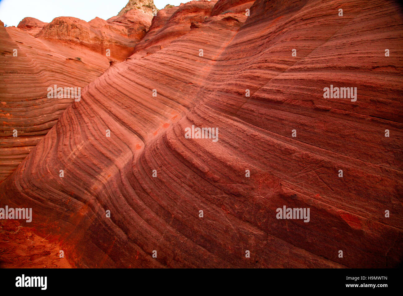 The red sand hill,Shaanxi Province,China Stock Photo - Alamy
